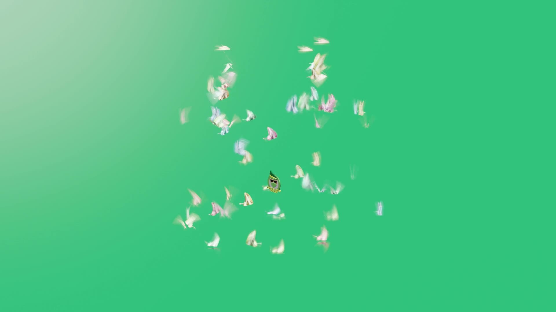 ArtStation - 3D Butterfly / Rama-rama 3D