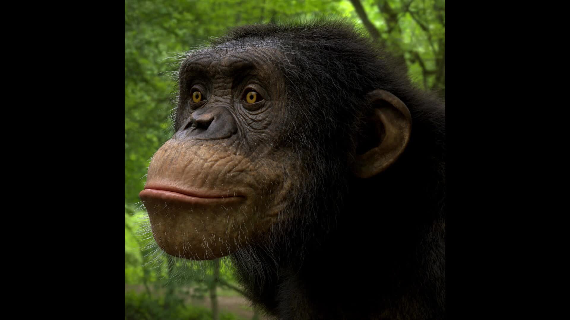 ArtStation - Monkey02