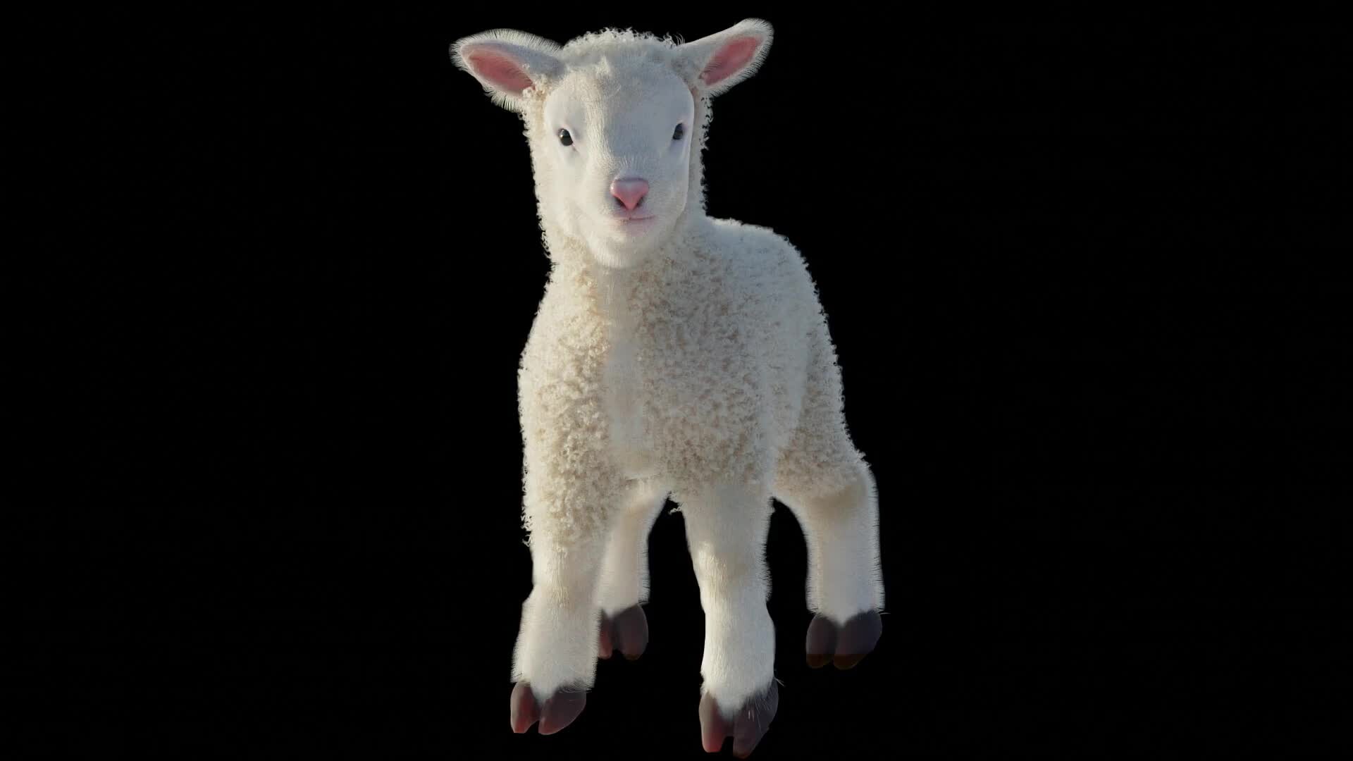ArtStation - Baby Lamb WIP