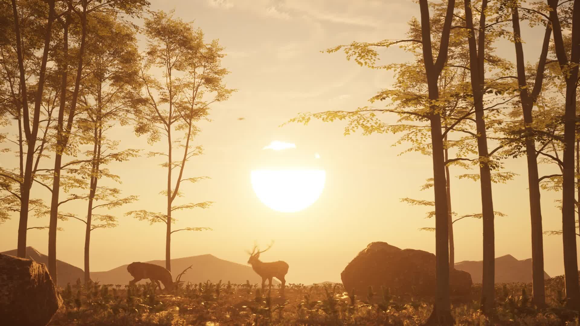 ArtStation - Unreal work