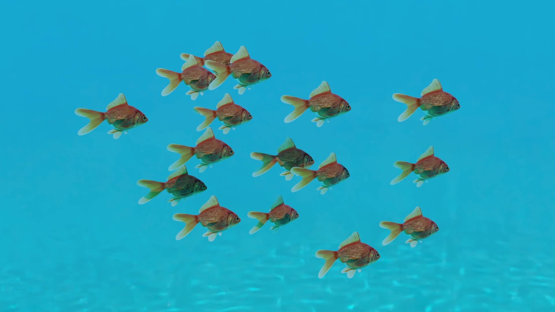 ArtStation - Simple fish swimming animation