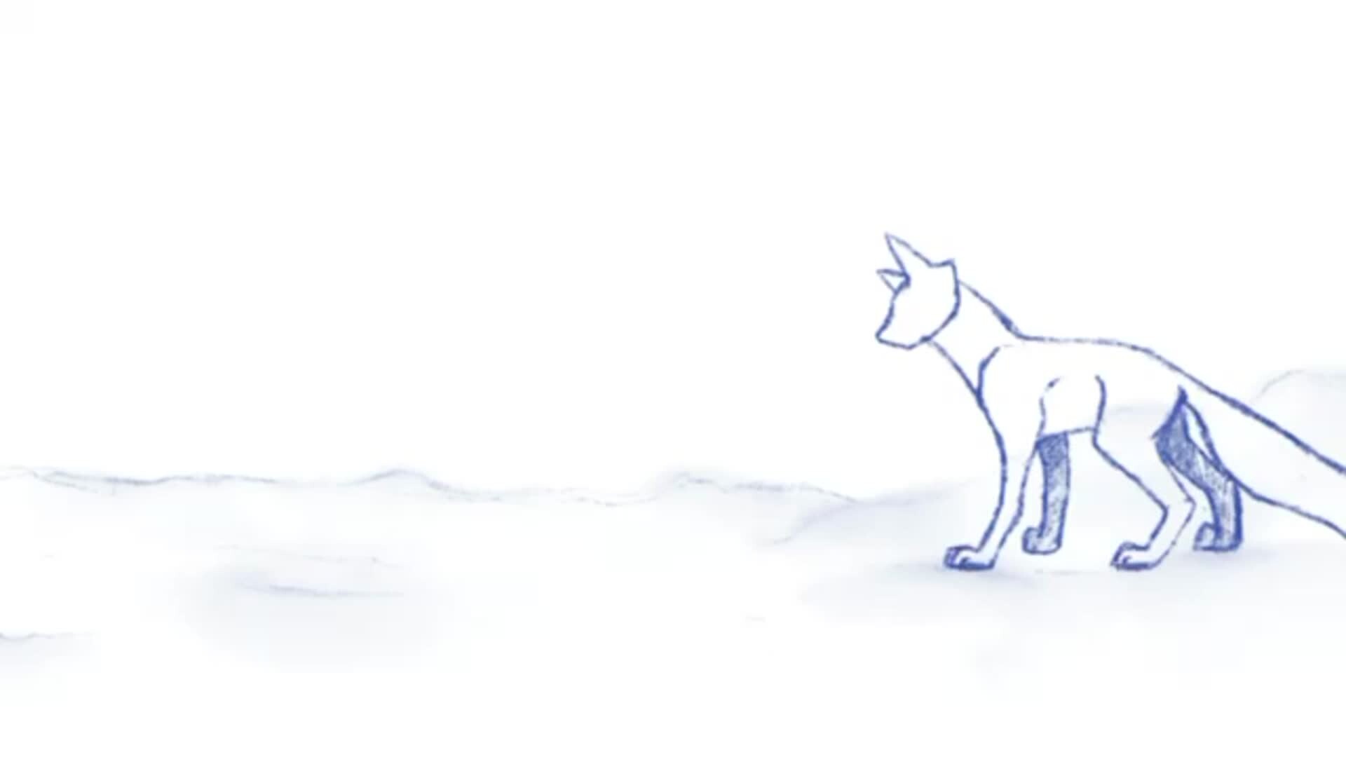 ArtStation - // Fox Dive / Animation