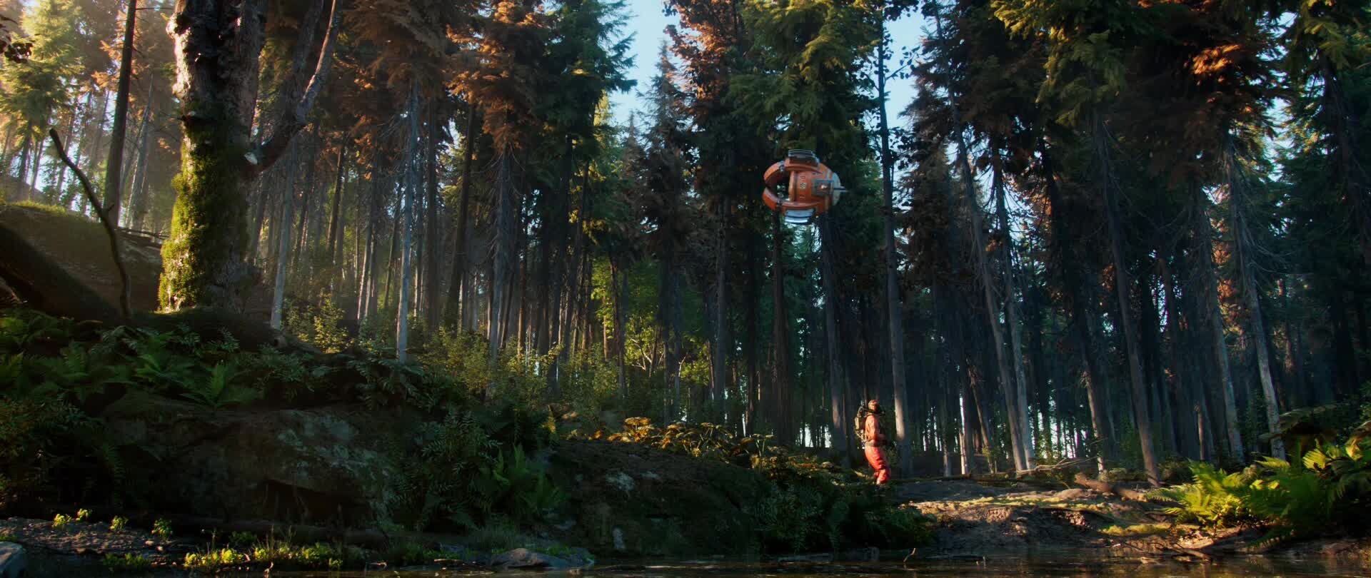 ArtStation - Forest Patrol