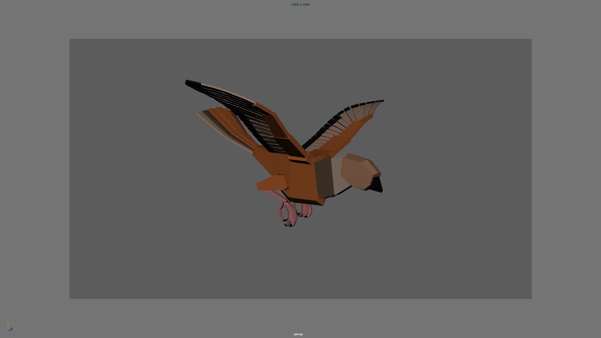 ArtStation - Bird_Fly_Cycle