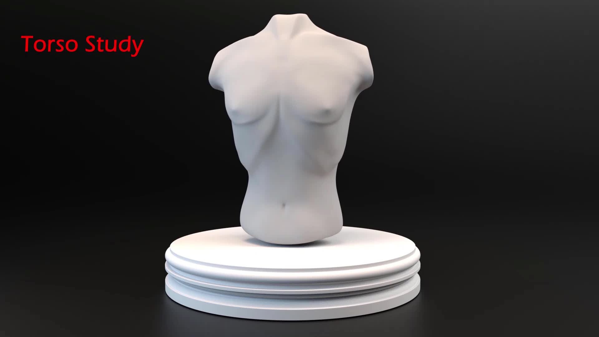 ArtStation - Torso and Face Study