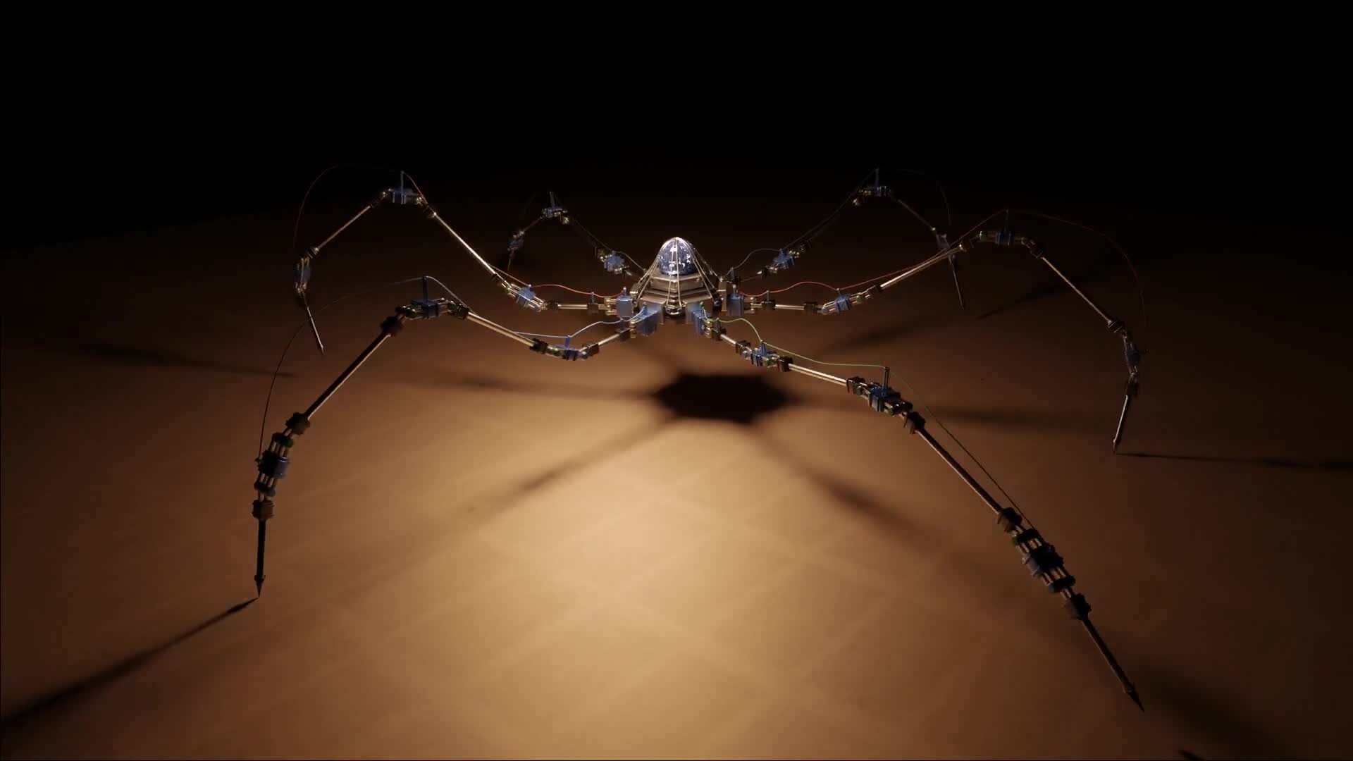 ArtStation - my lovely work :} my lovely spider :}