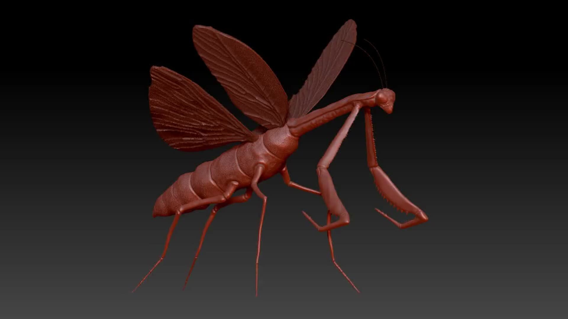 ArtStation - Mantis Sculpt