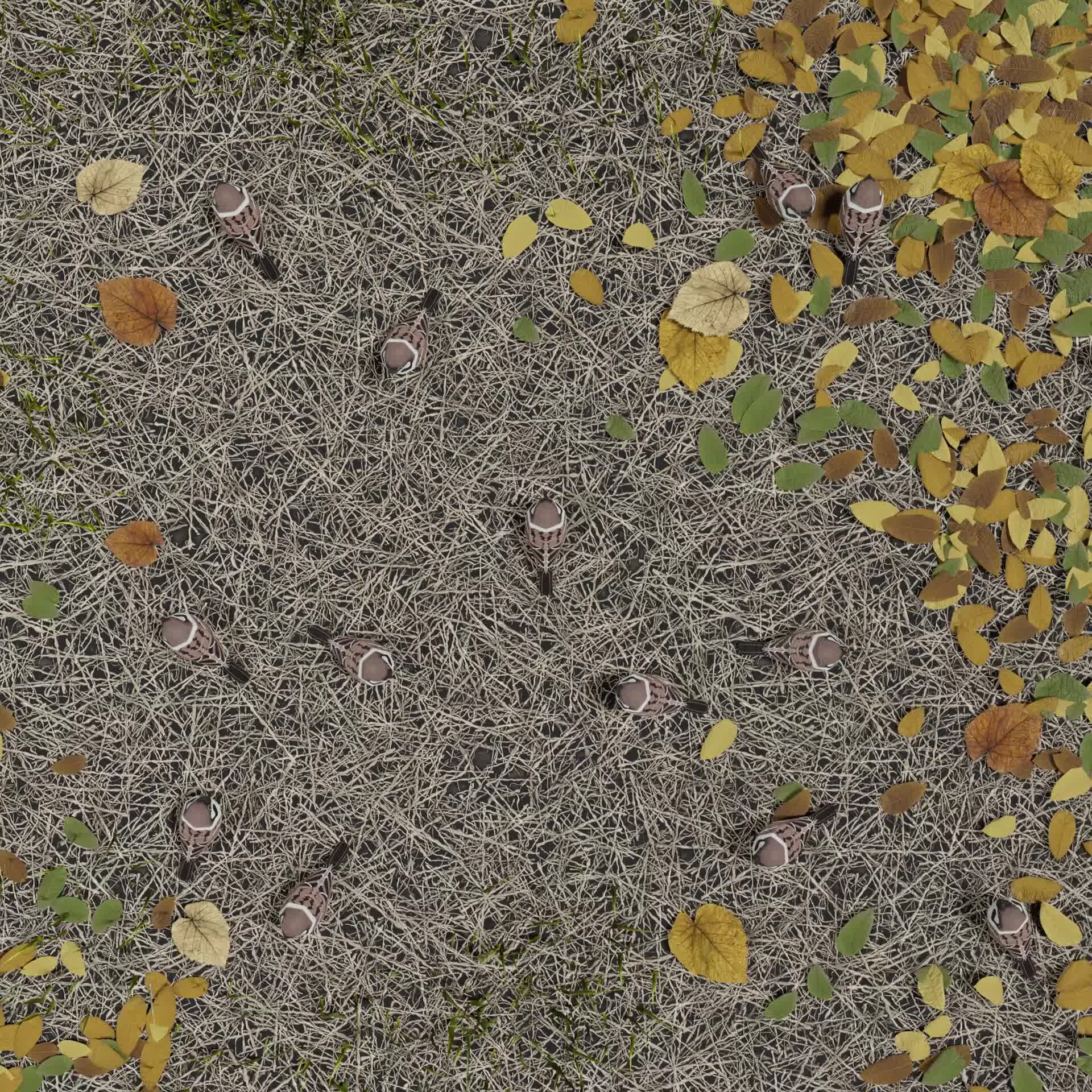 ArtStation - Sparrows