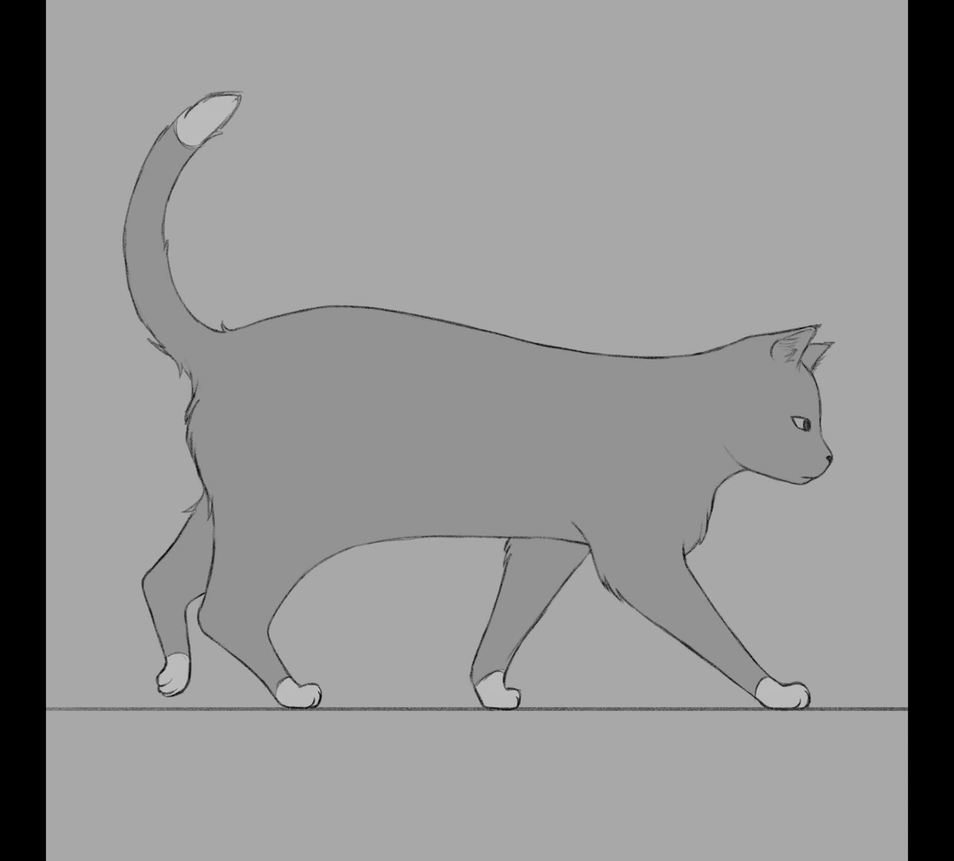 ArtStation - Cat Walk Cycle