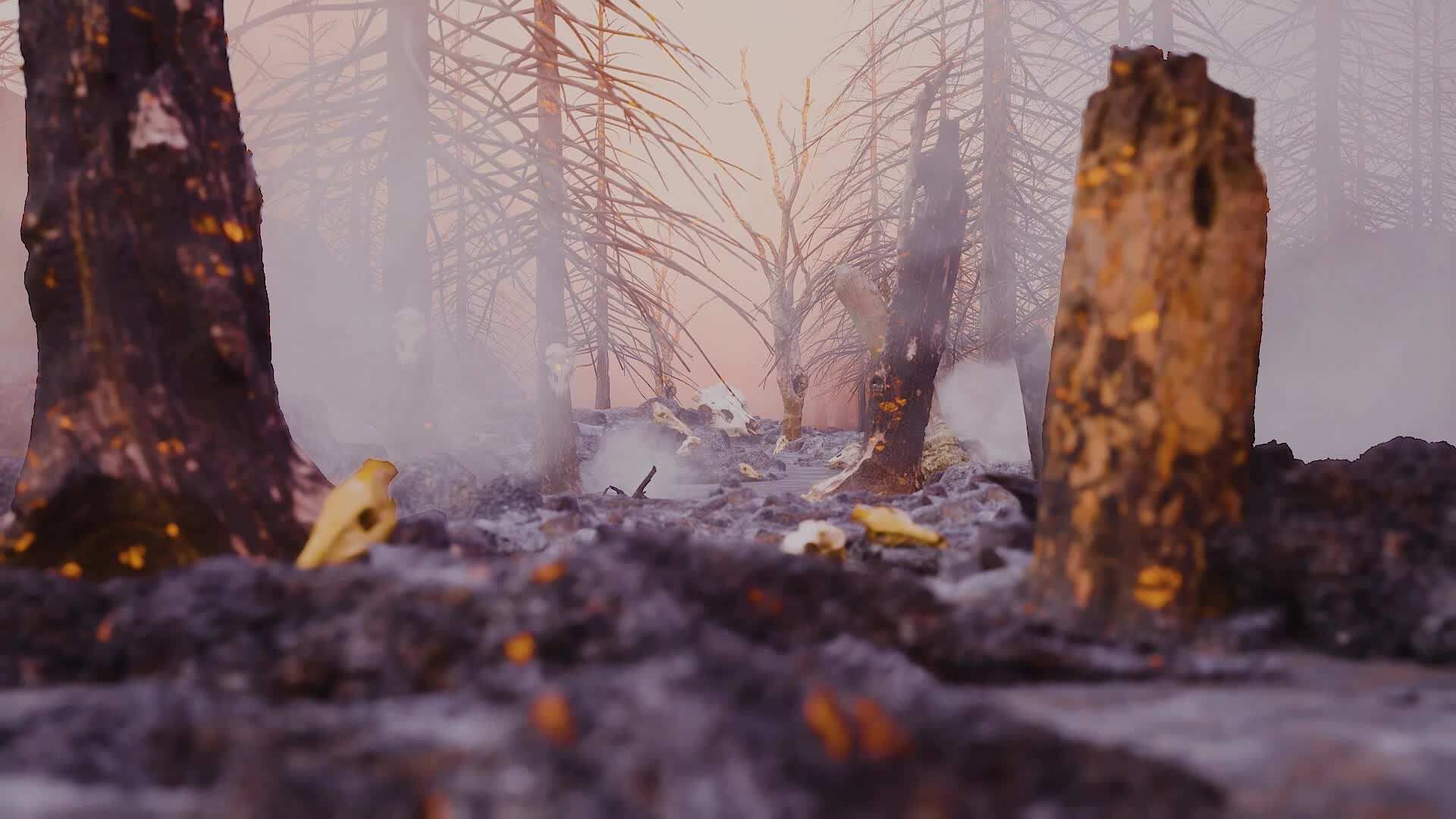 ArtStation - The Dead Forest