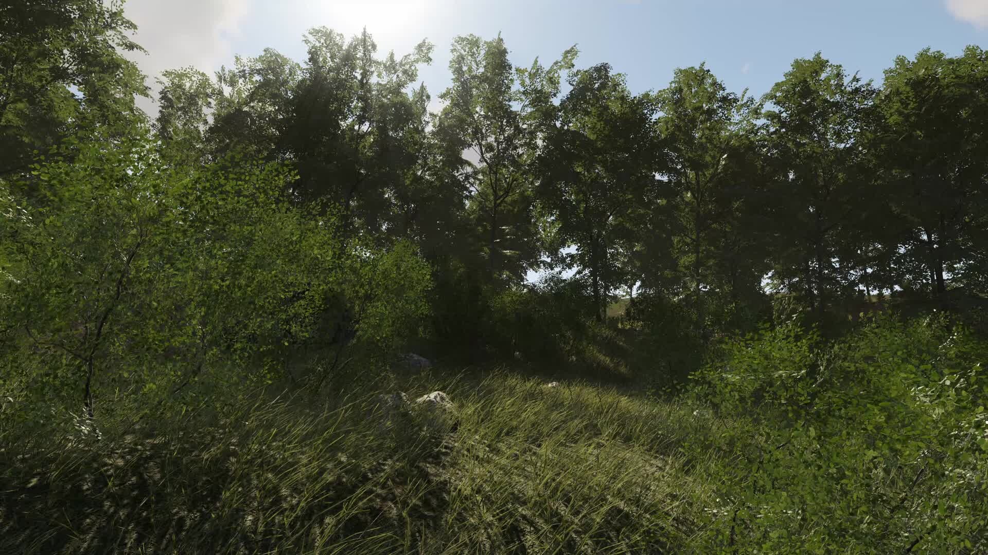 ArtStation - Oak Forest - CRYENGINE