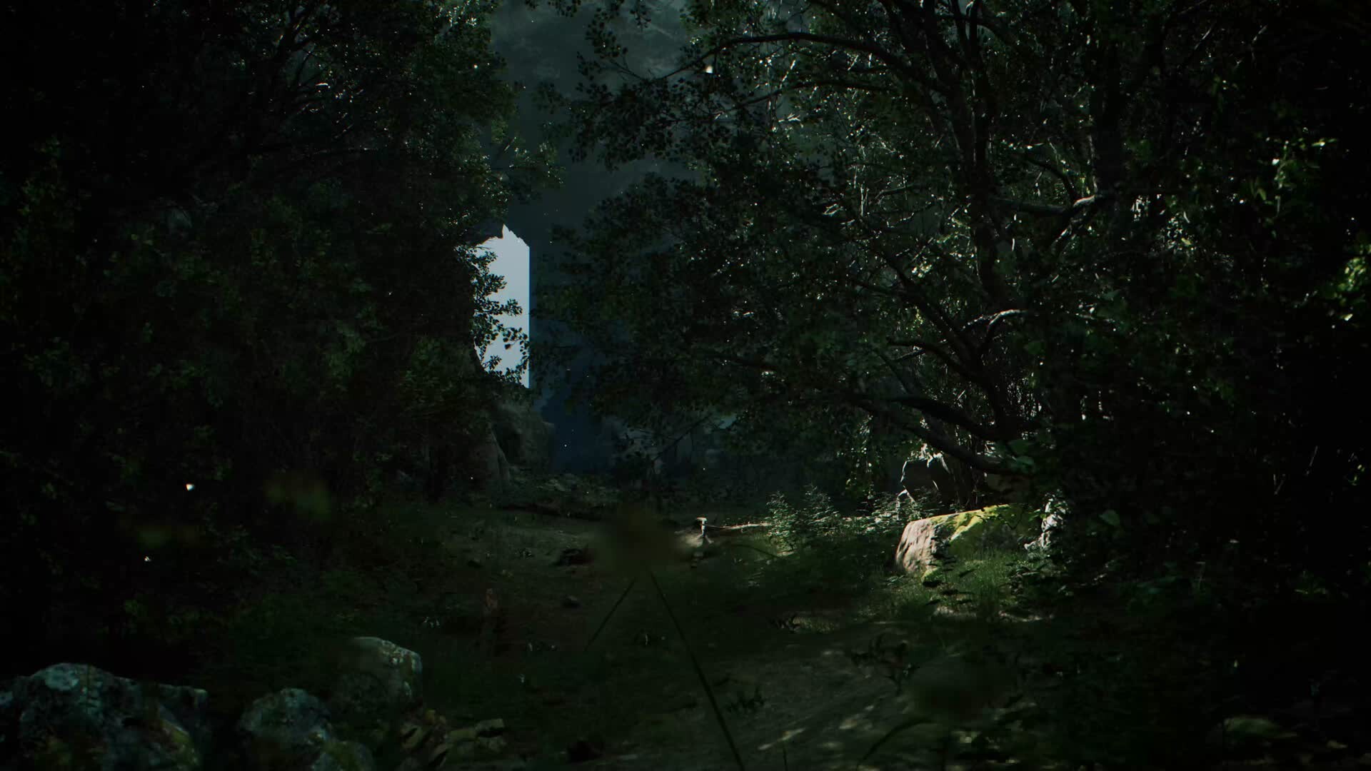 ArtStation - UE5 Environment