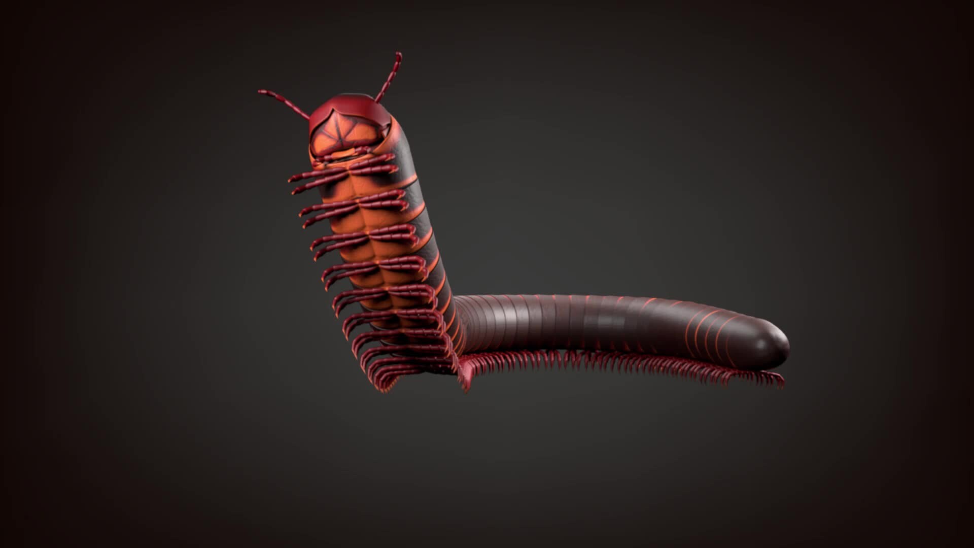 ArtStation - Millipede model