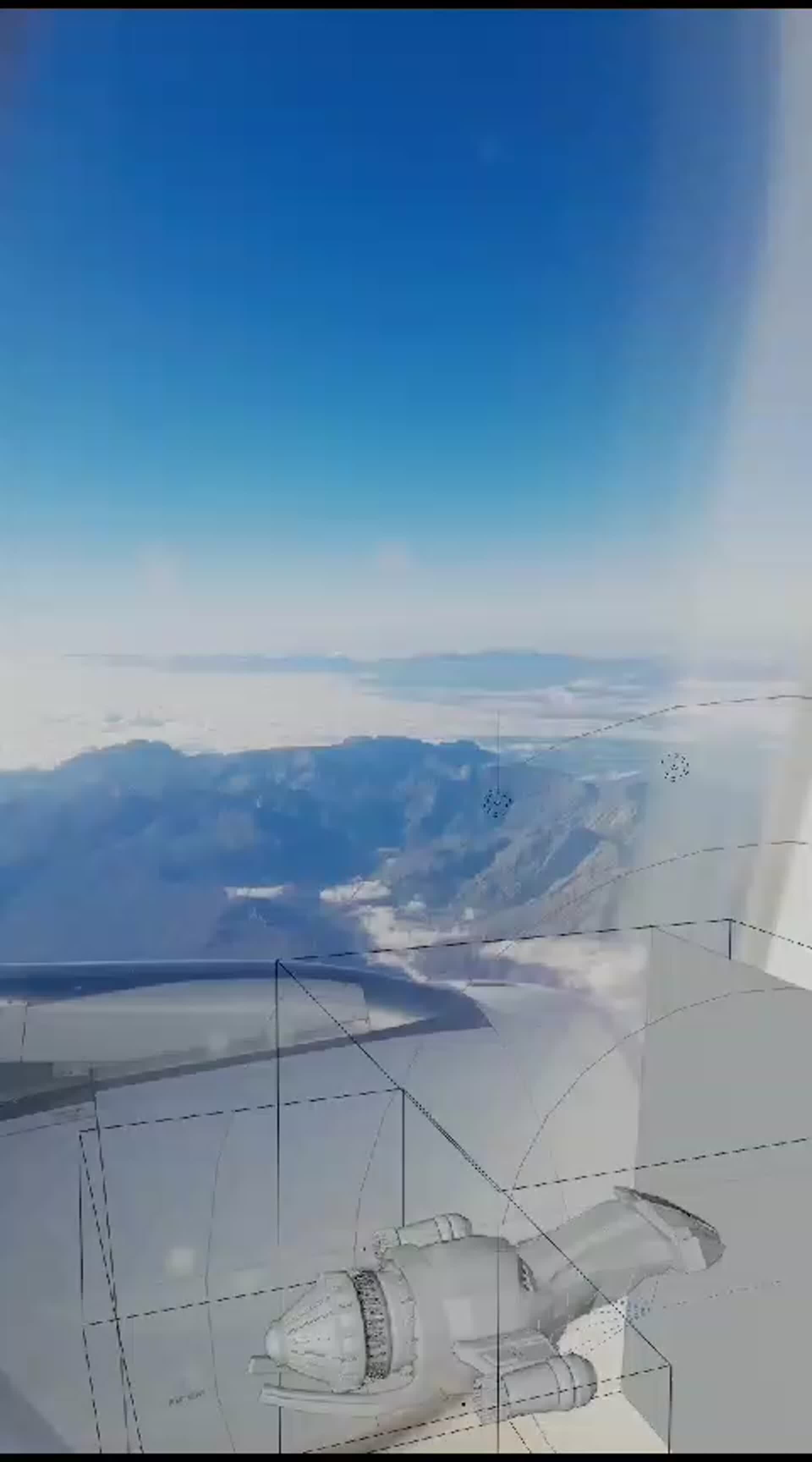 ArtStation - Firefly Animation.