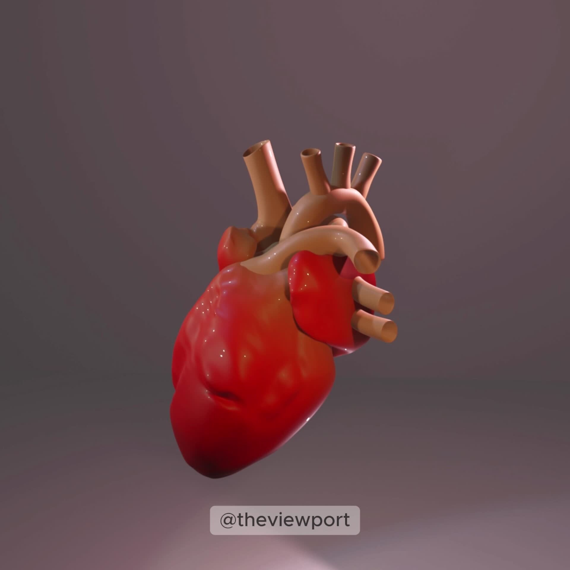 ArtStation - 3D Heart (Human Anatomy)