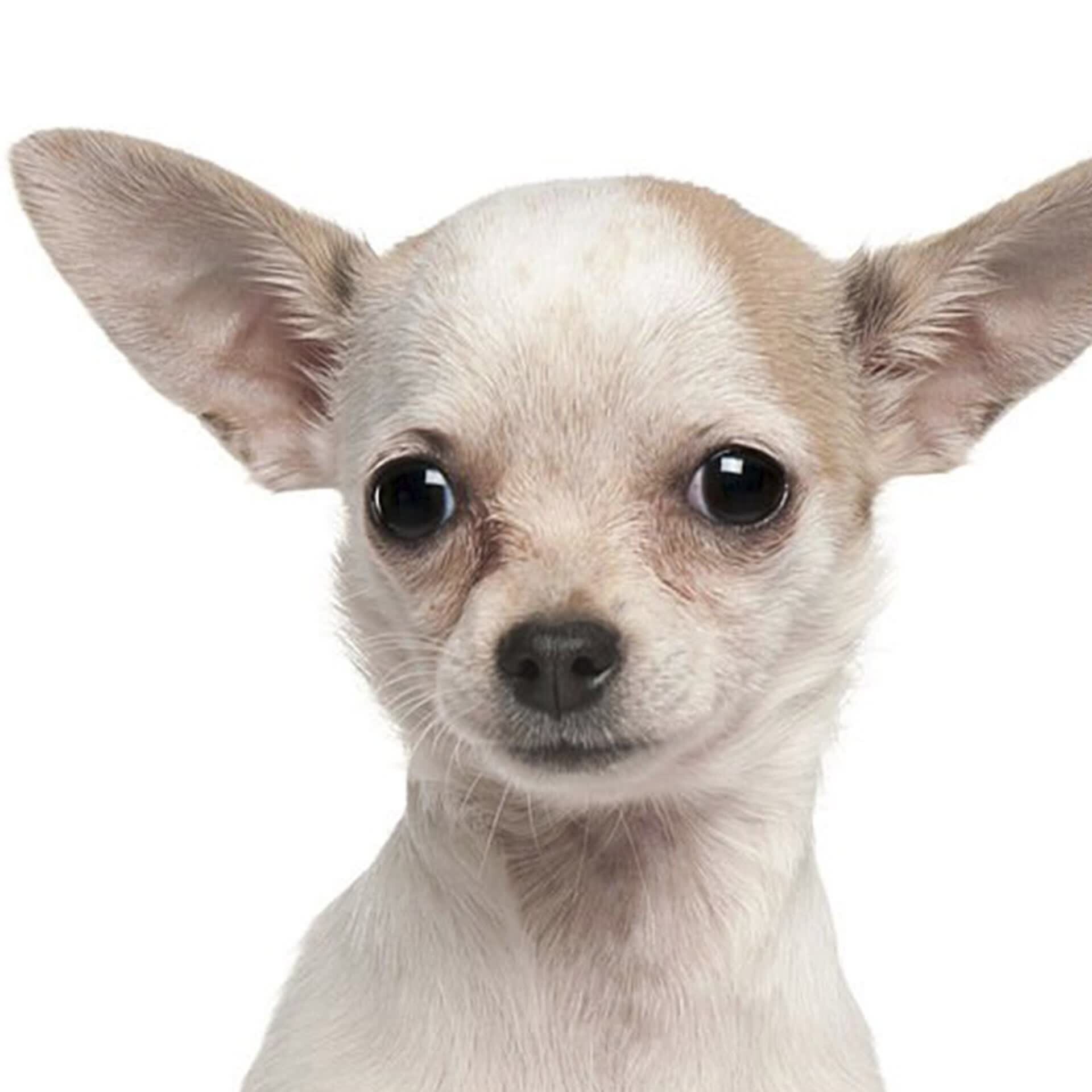 ArtStation - Morphing practice