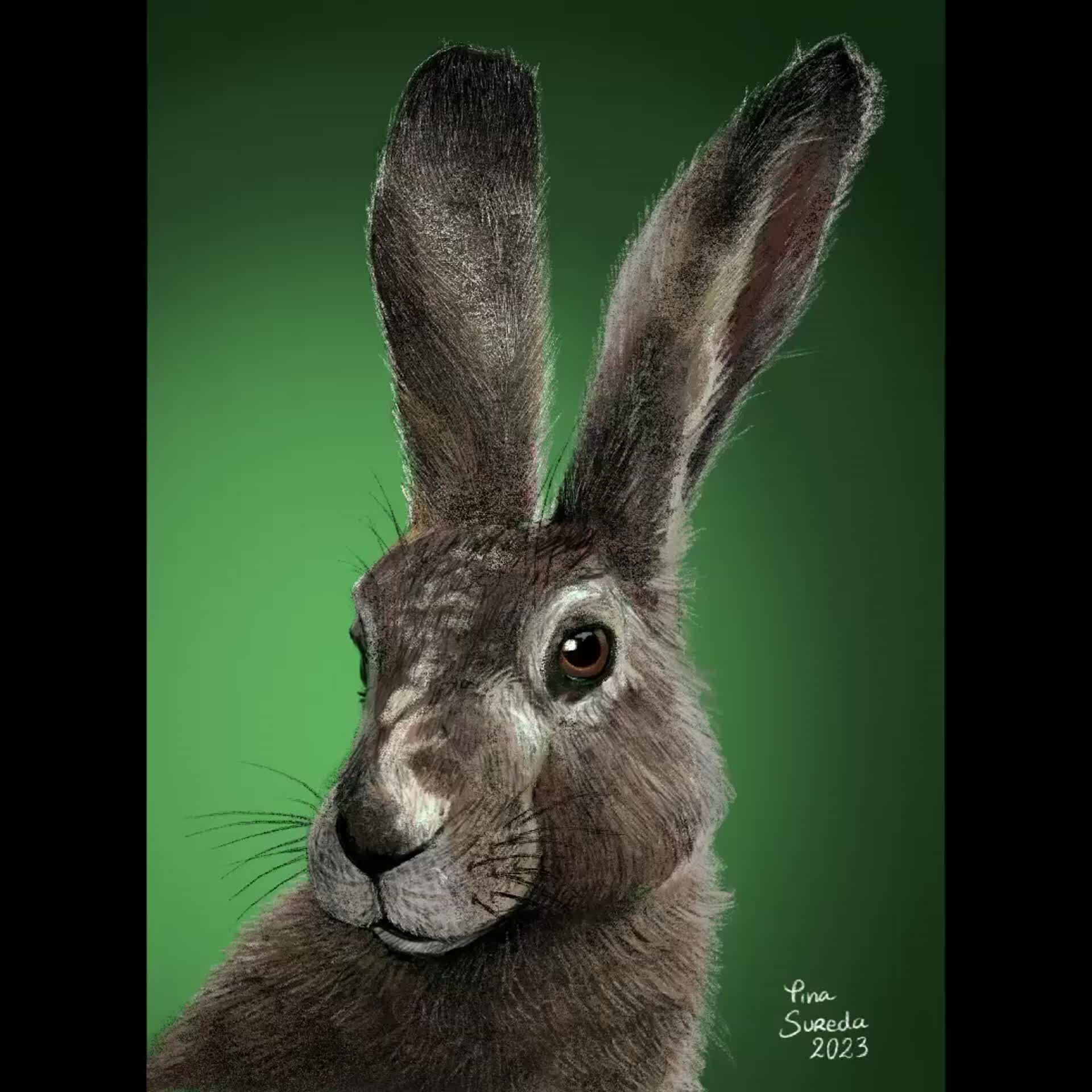 ArtStation - Hare