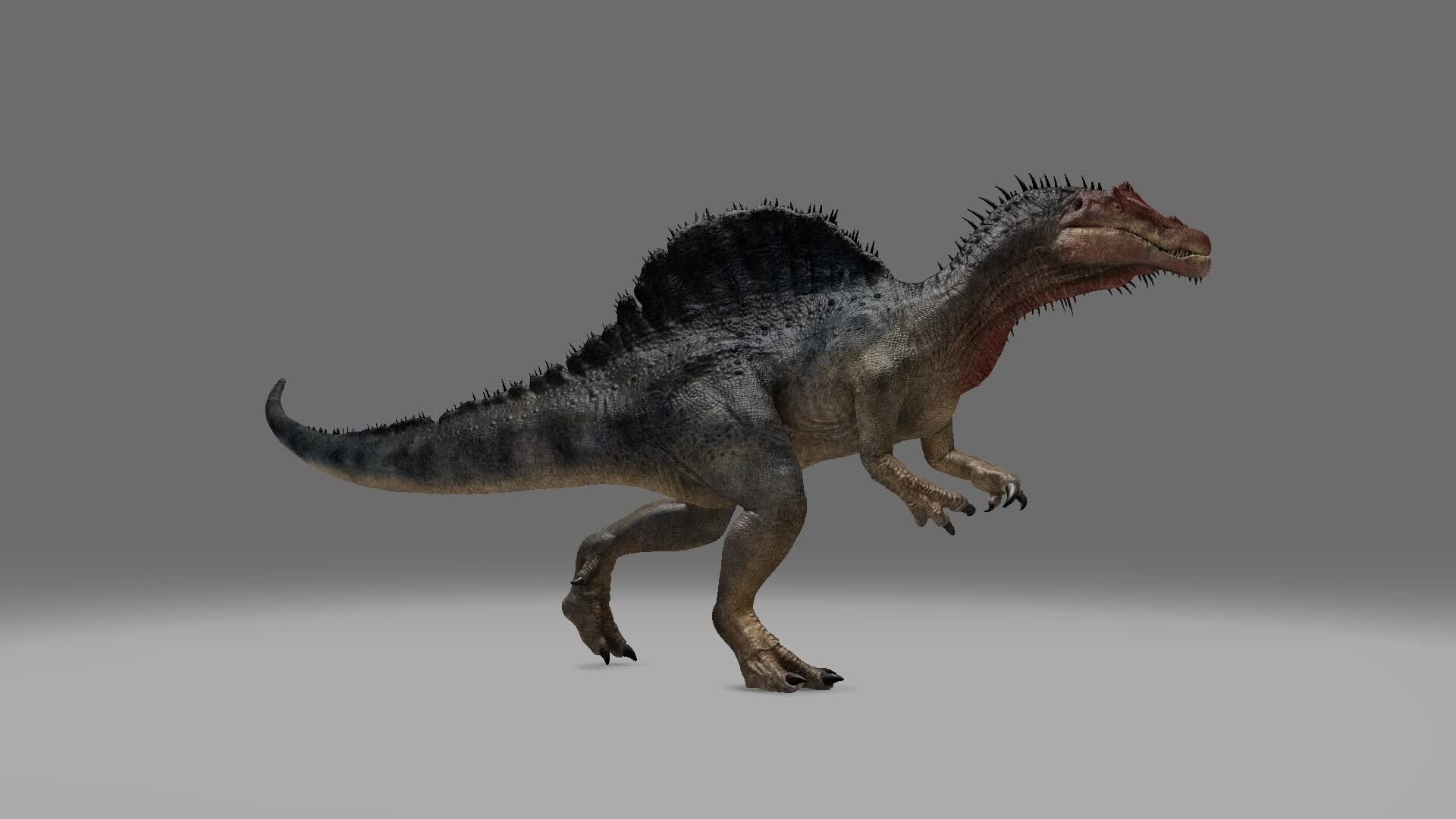 ArtStation - Spinosaurus walk cycle ..... Rig by Truong CG