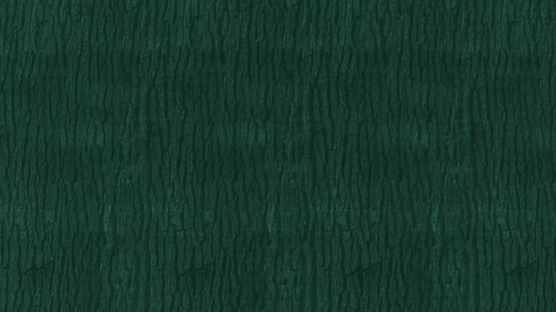 ArtStation - Elation