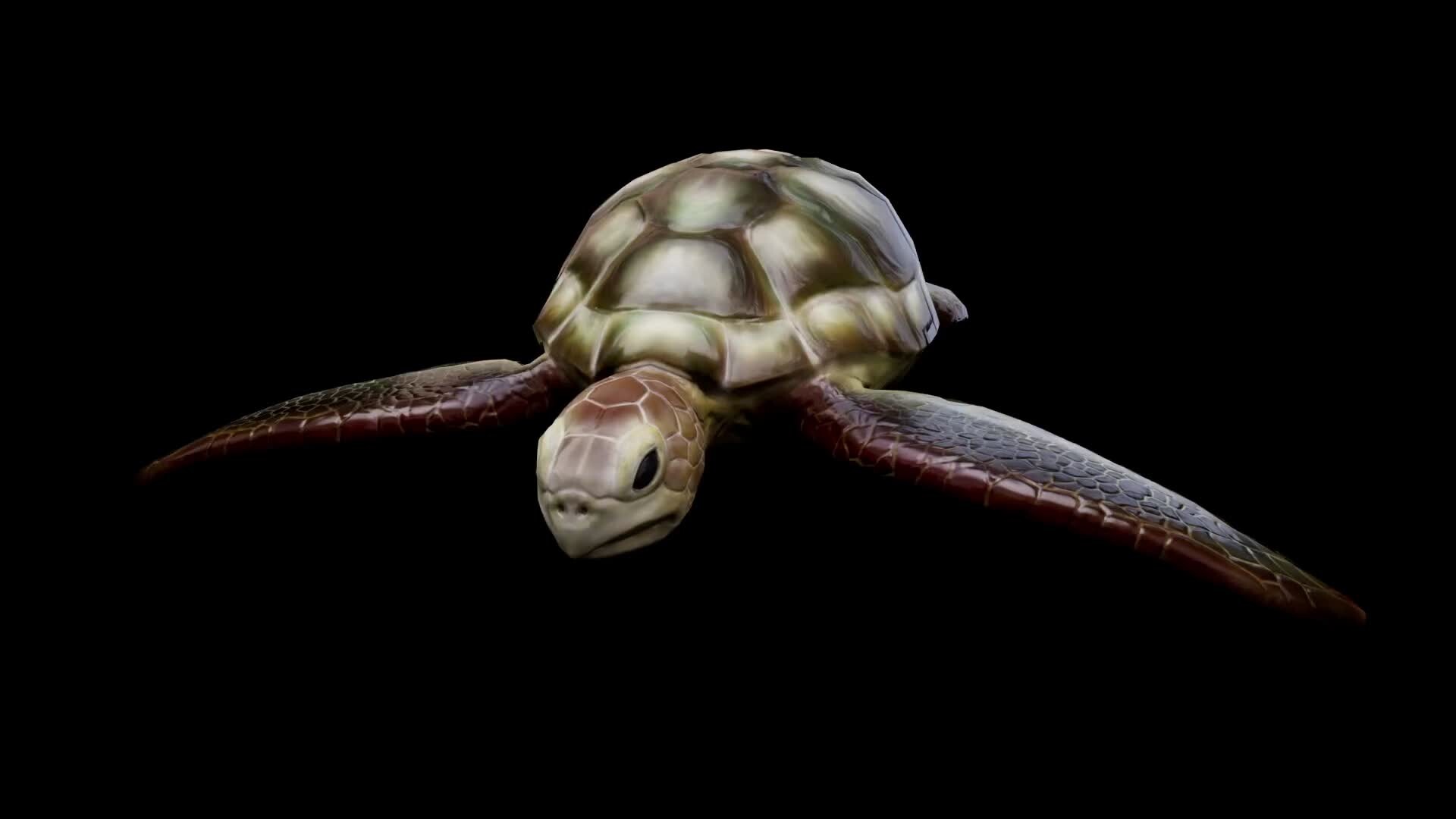 ArtStation - 3D Sea Turtle