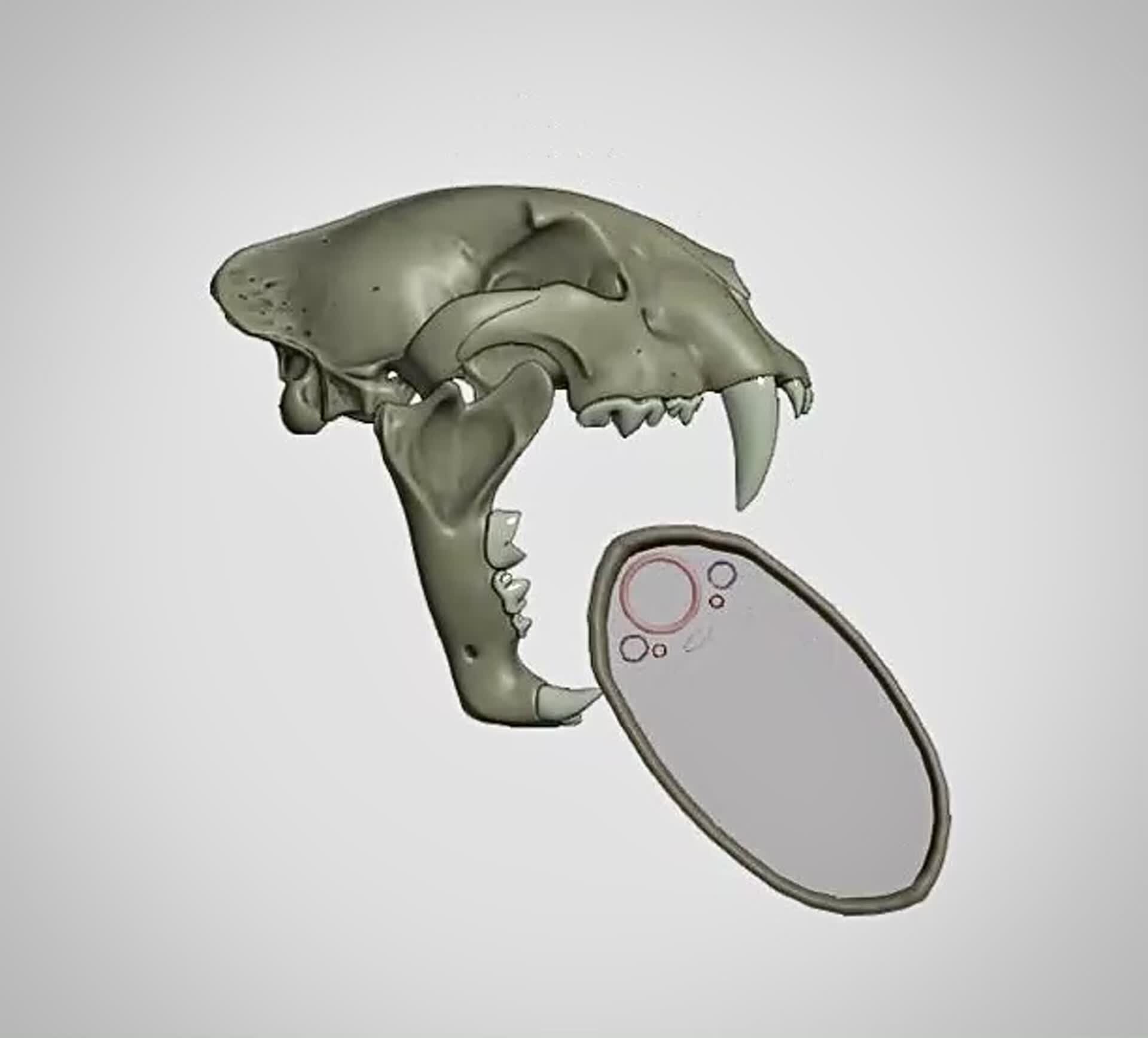 ArtStation - Sabertooth Shear Bite with Dinofelis aronoki
