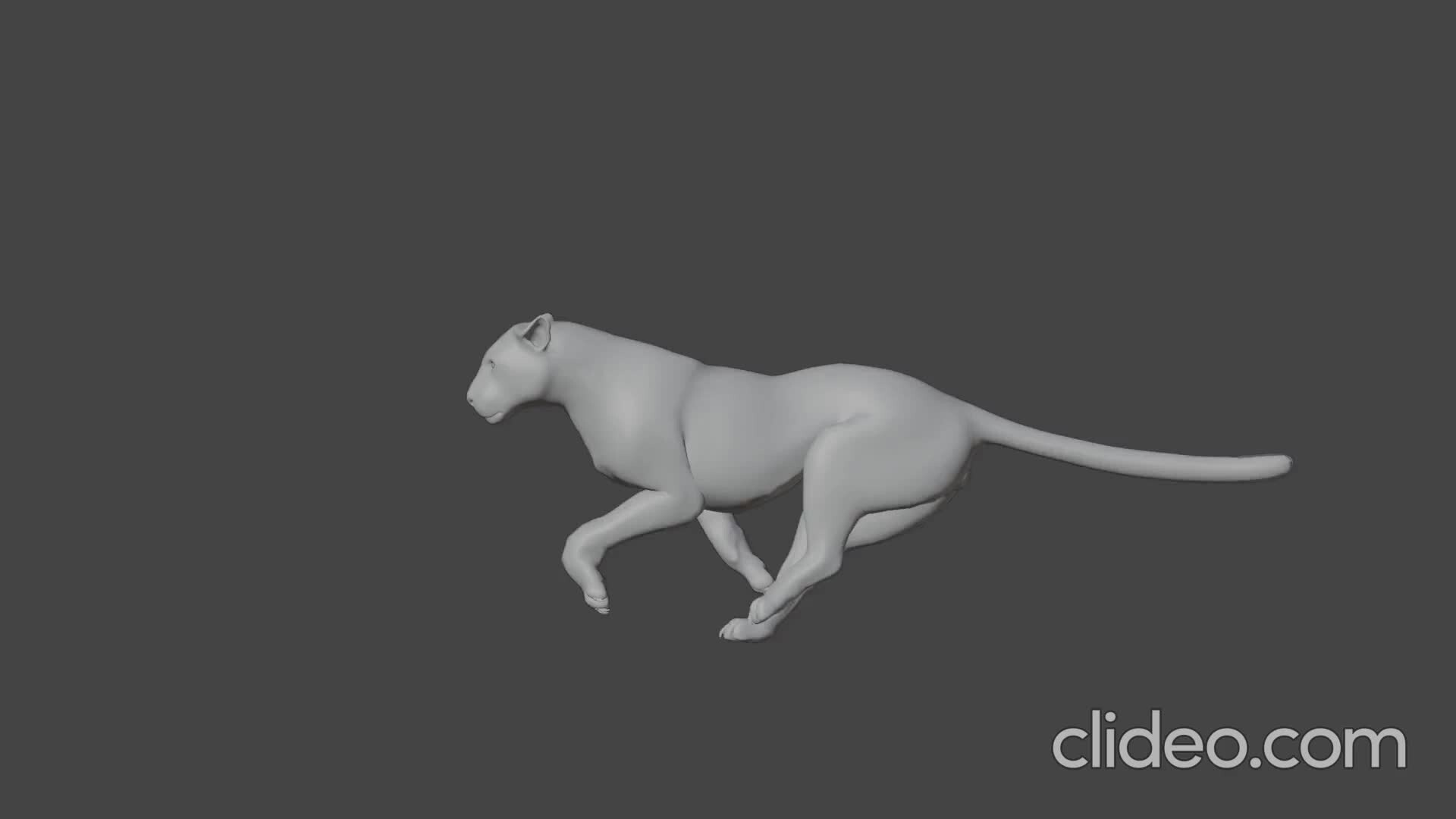 ArtStation - Leopard Running