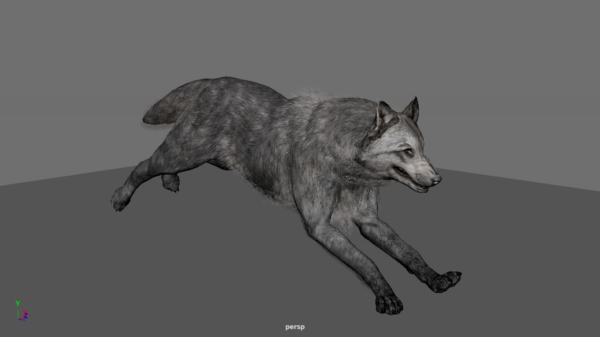 ArtStation - Running wolf animation