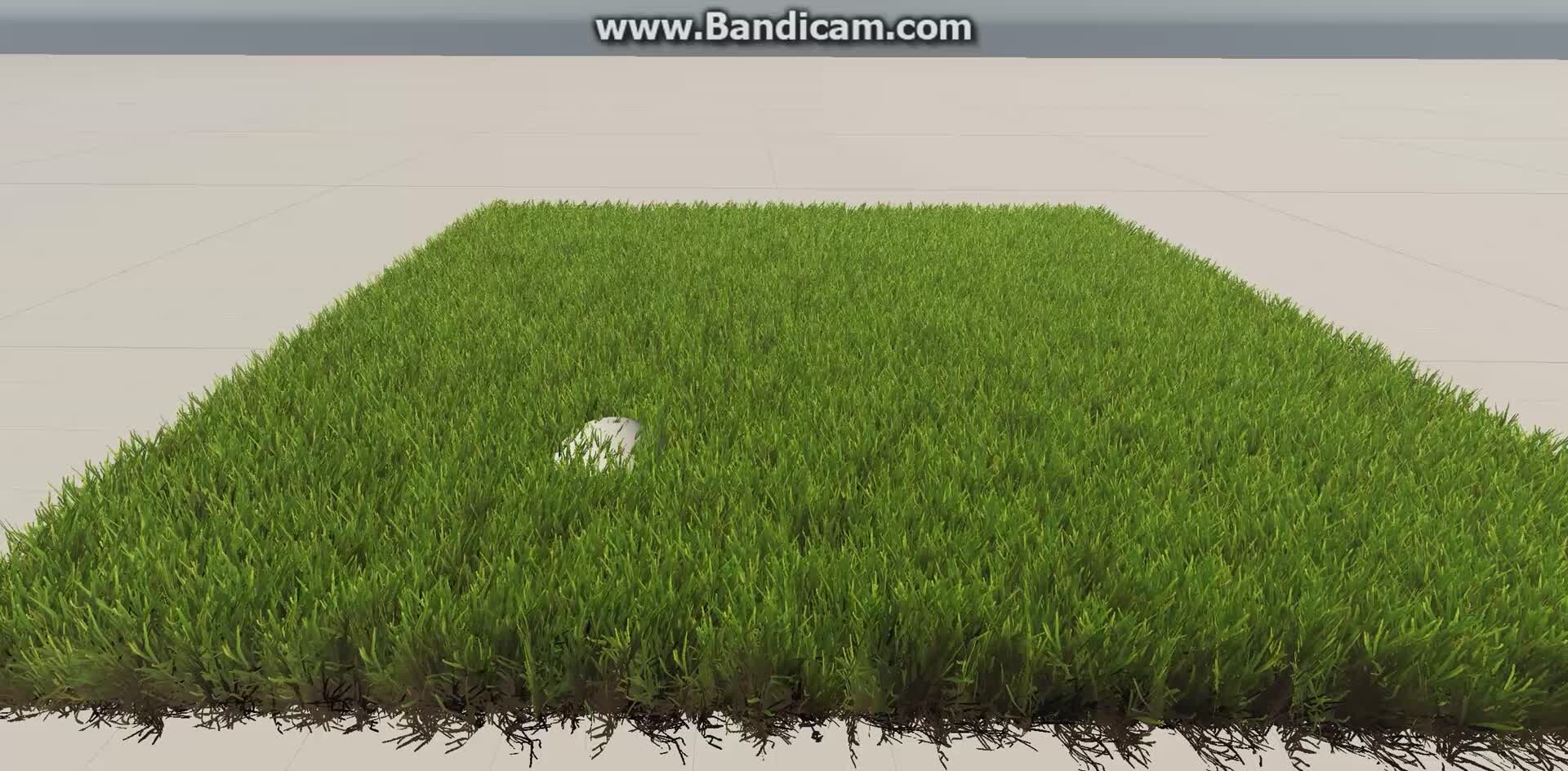 ArtStation - Windy grass Test