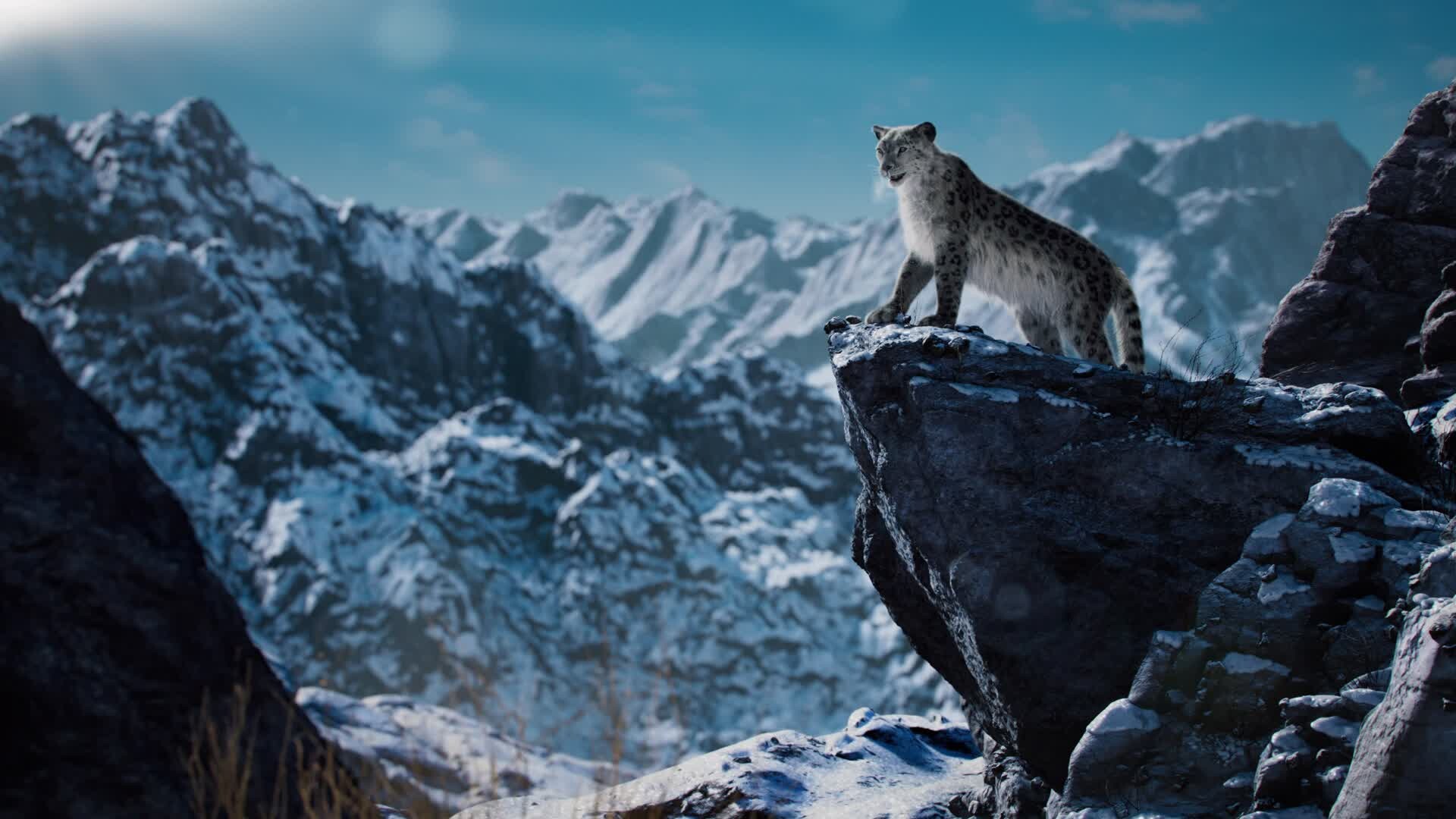 ArtStation - Snow Leopard