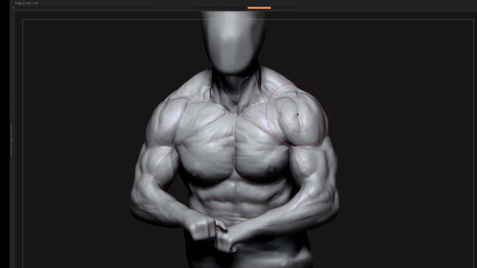 ArtStation - Torso Anatomy Study - TImelapse
