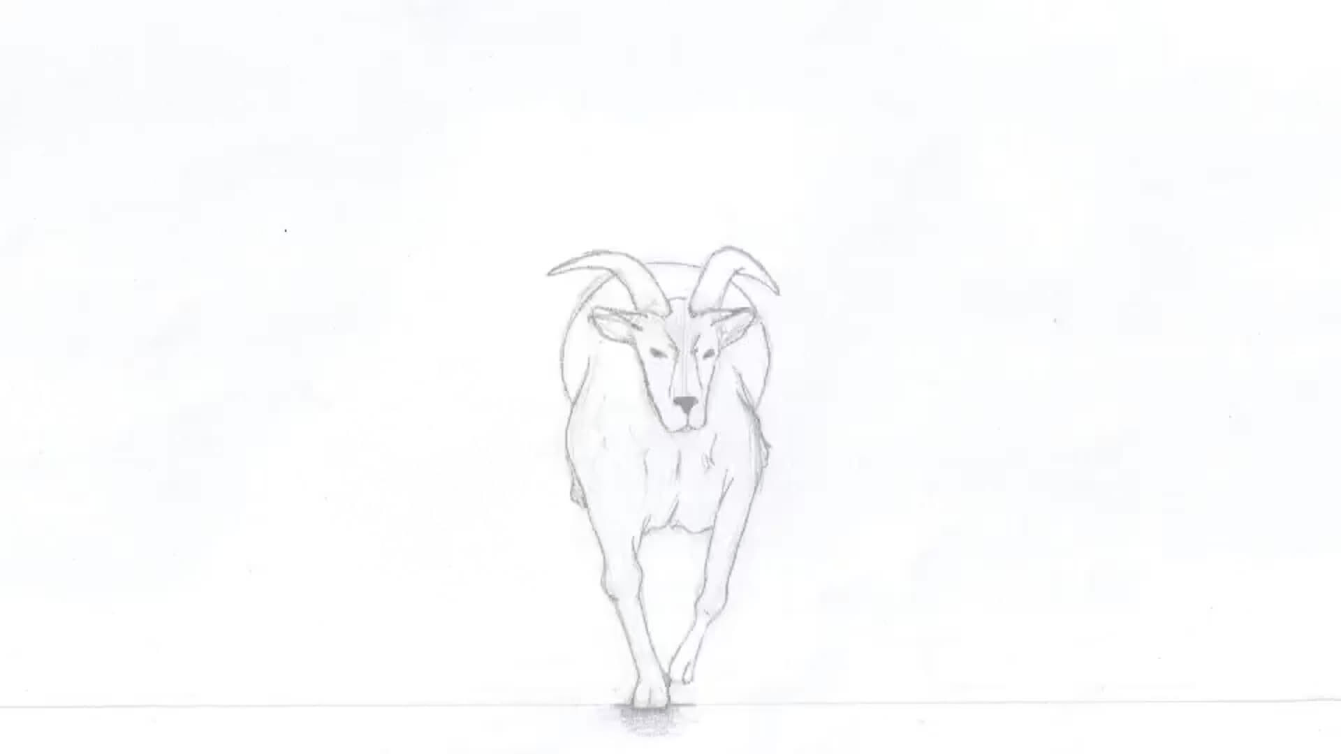 ArtStation - 13 Frontal Running Cycle of an Animal