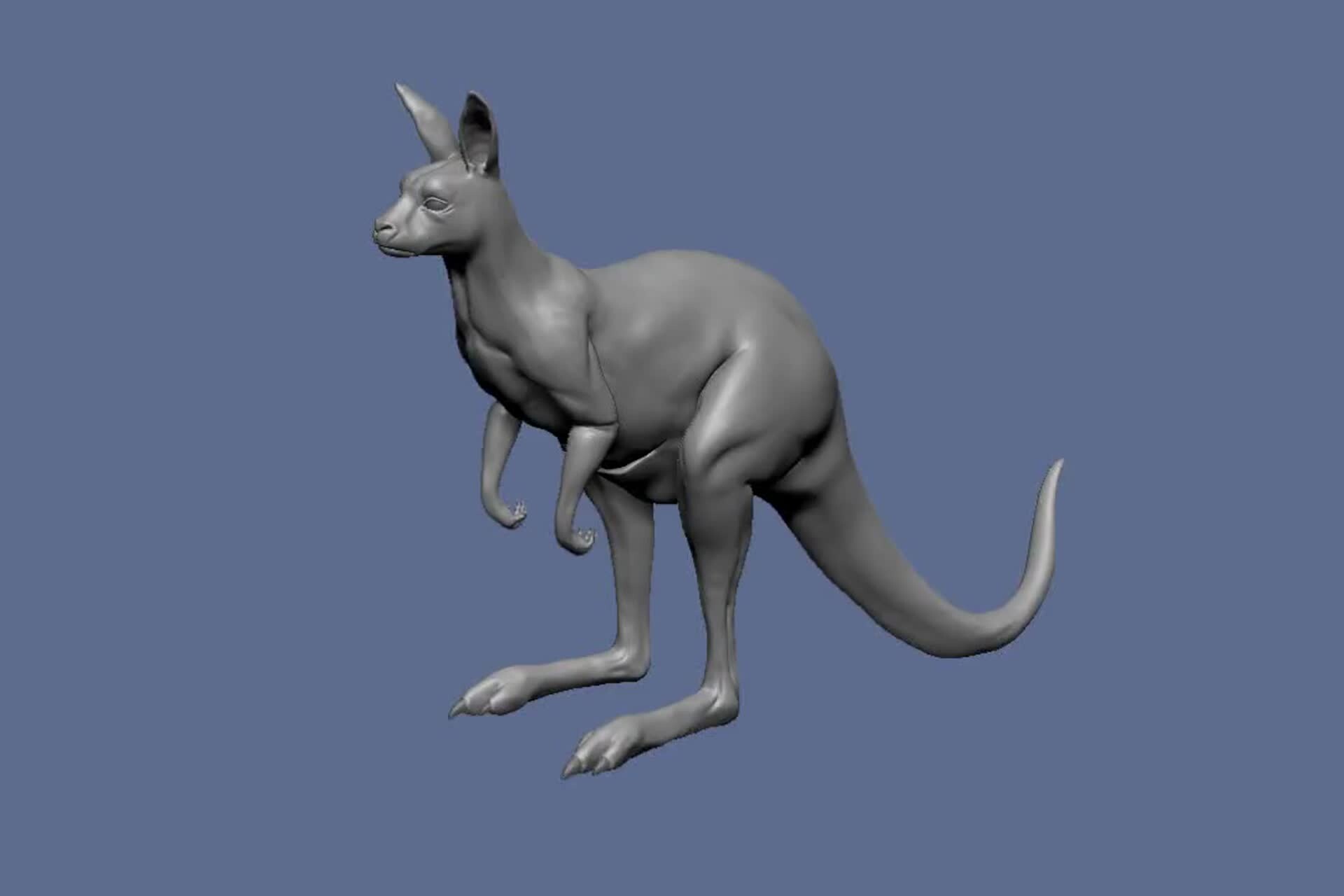 ArtStation - 3D Organic model kangaroo
