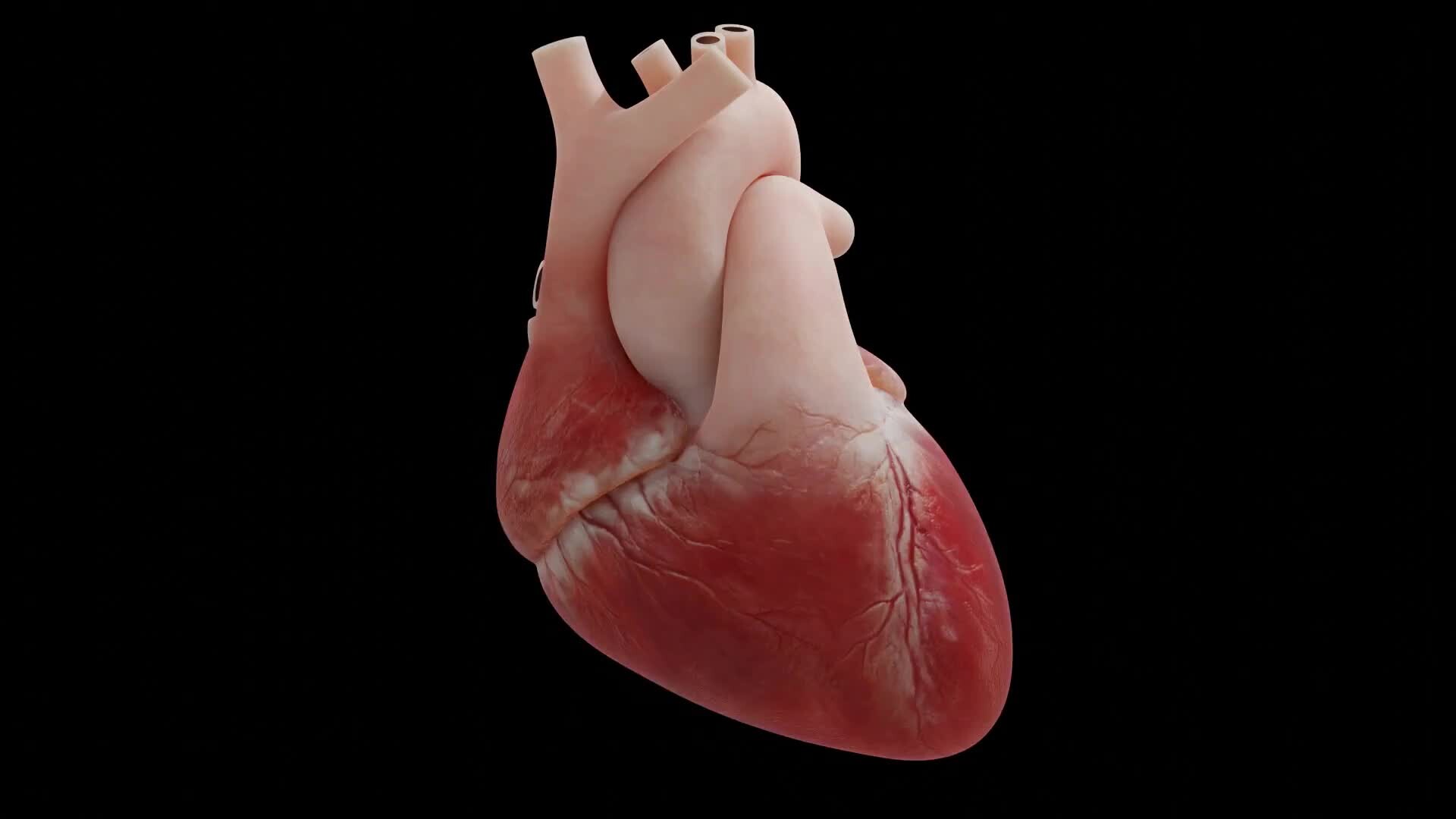 ArtStation - Heart-Beat