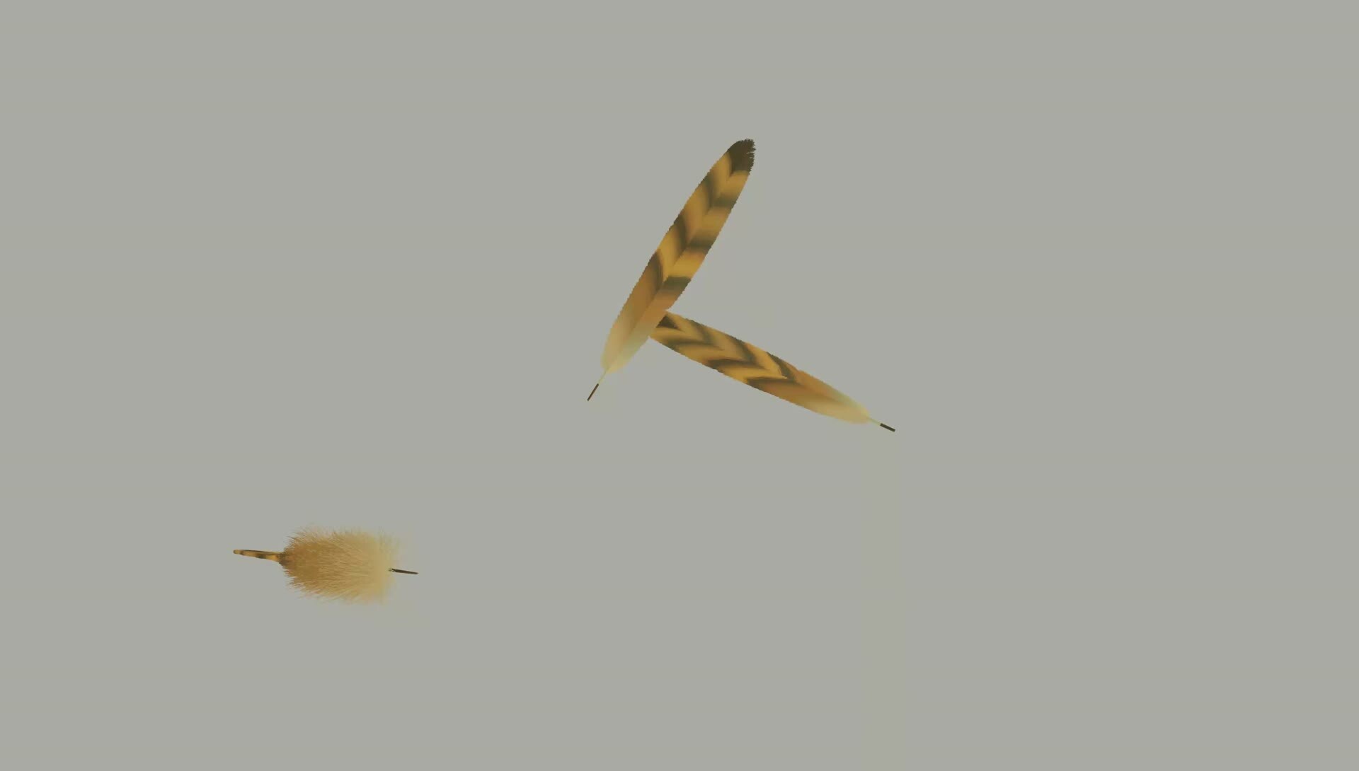 ArtStation - Feather_animation