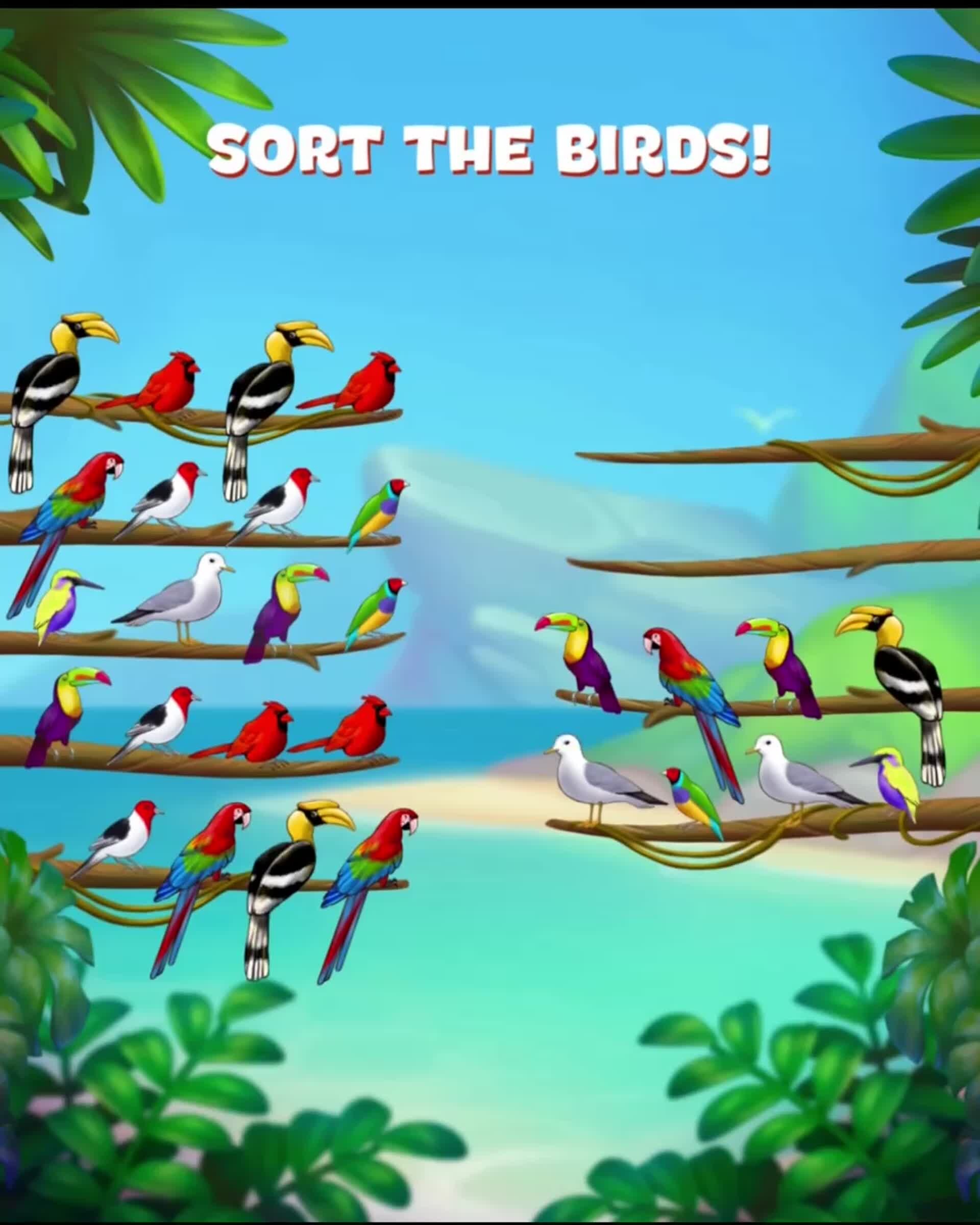 ArtStation - Surt the birds. Promo art for Doudou games. Animation by ...