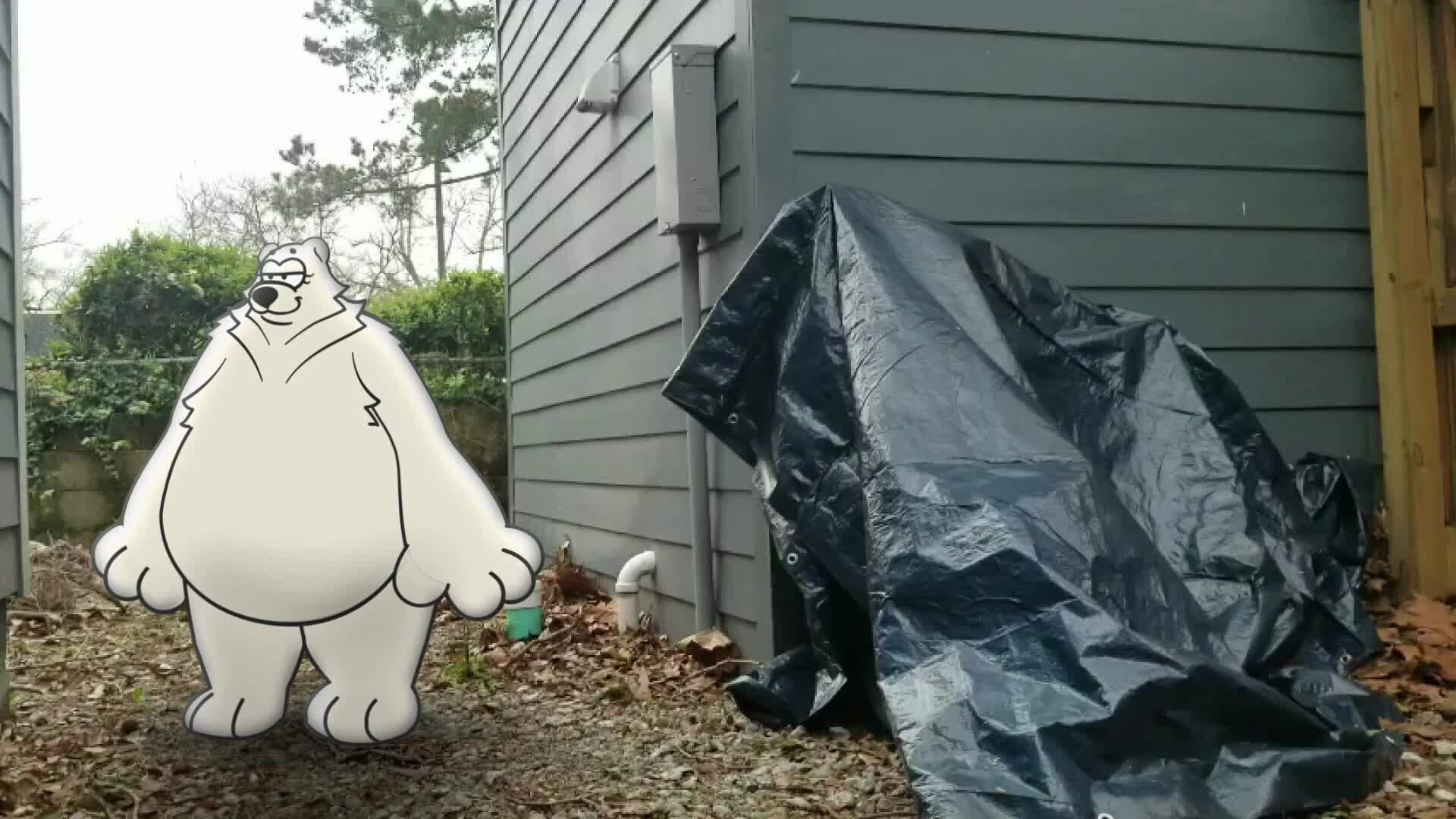 ArtStation - Polar Bear Rig