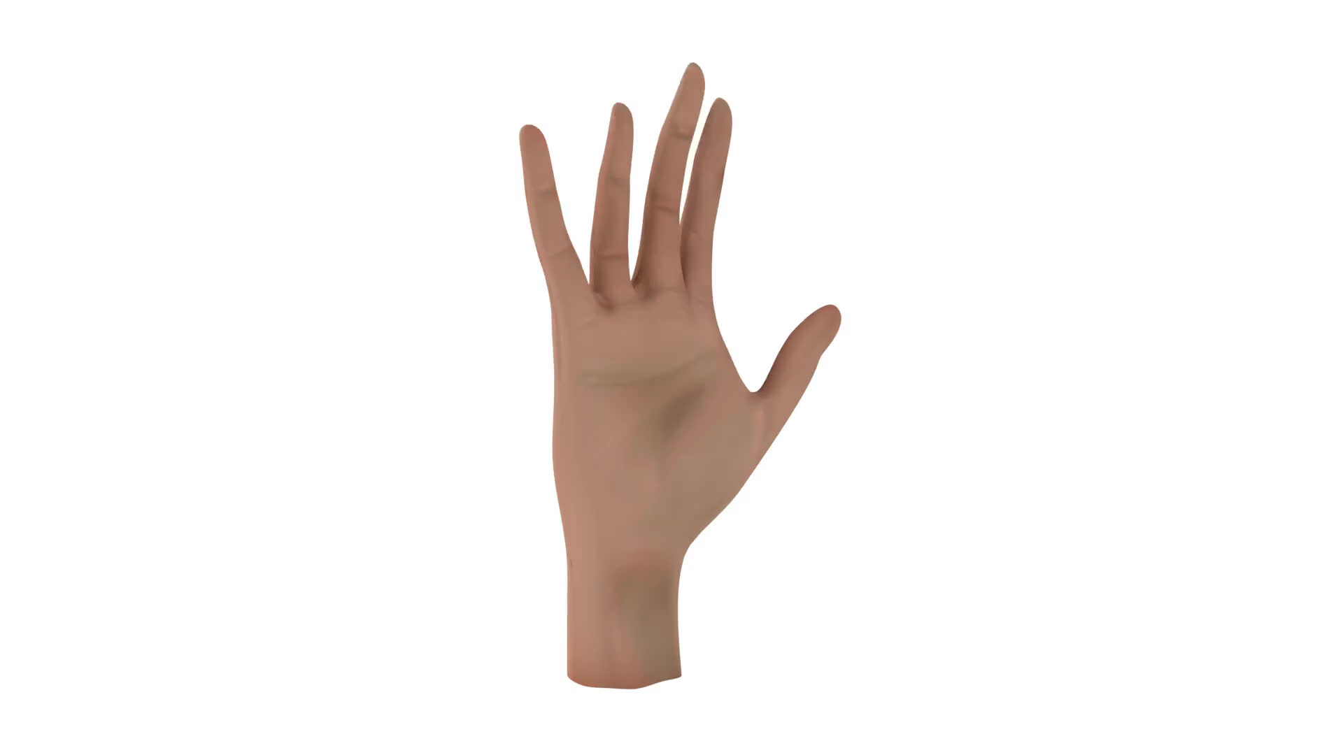 ArtStation - Realistic Hand Rig