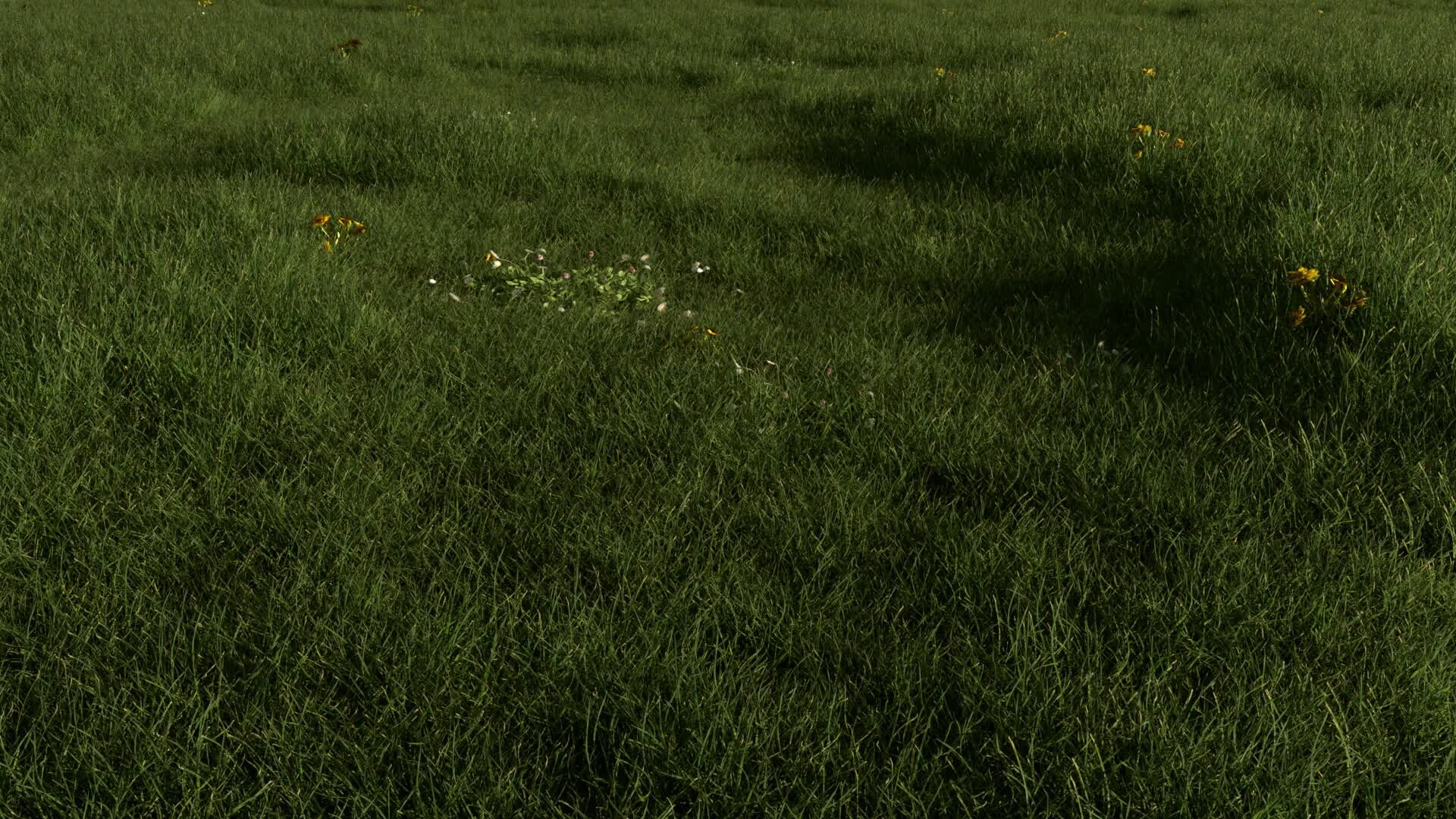 ArtStation - Grass patch
