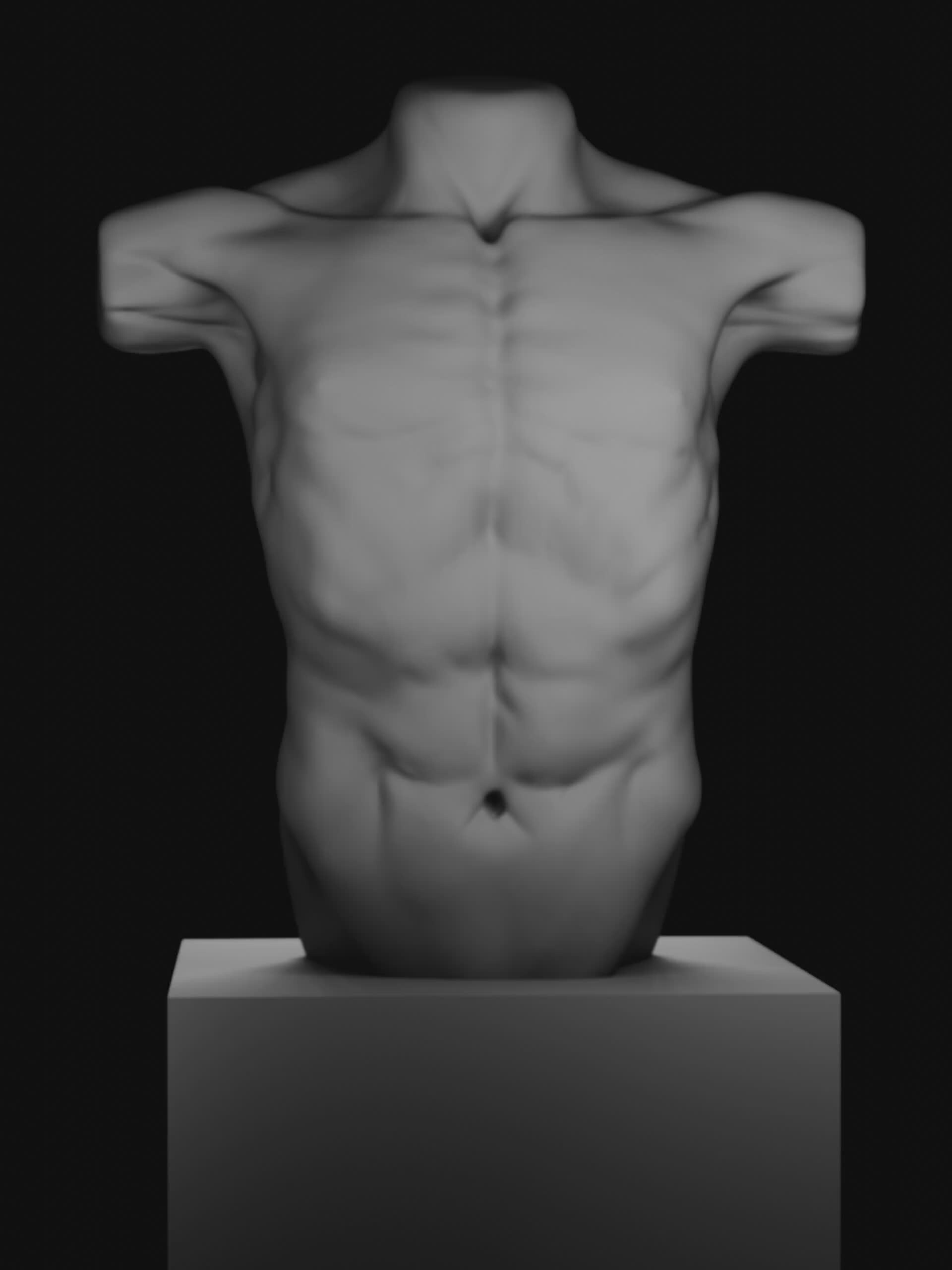ArtStation - -Anatomy torso study (pt1)
