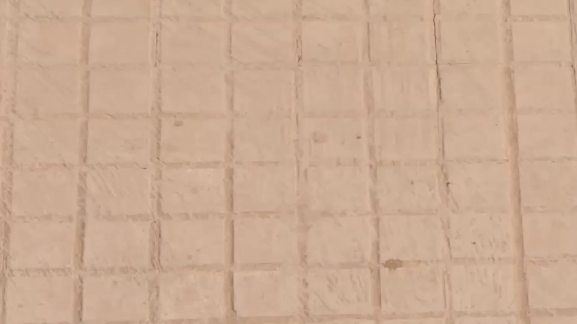 ArtStation - Wichita Art Museum - 3D Animation 1 Final Project