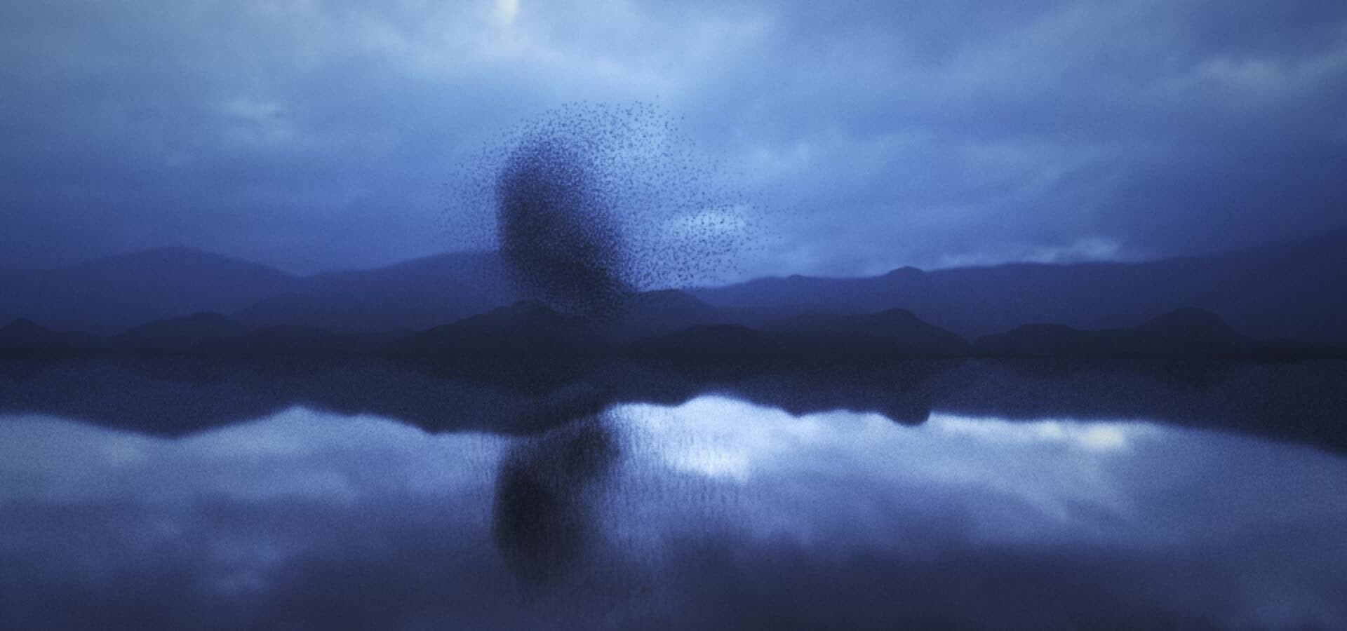 ArtStation - Houdini flock of birds