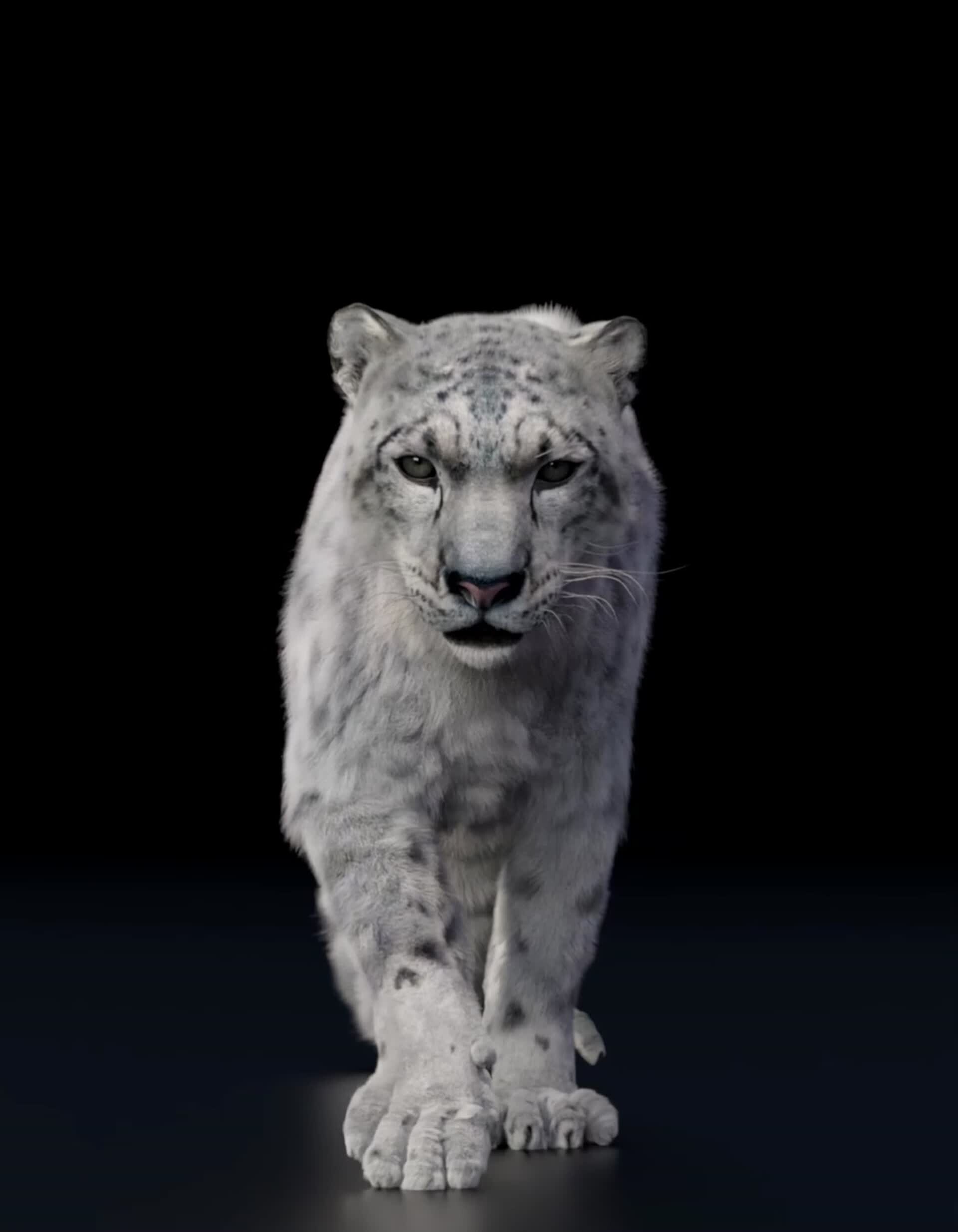 ArtStation - Snow Leopard 3D I Blender VFX Breakdown