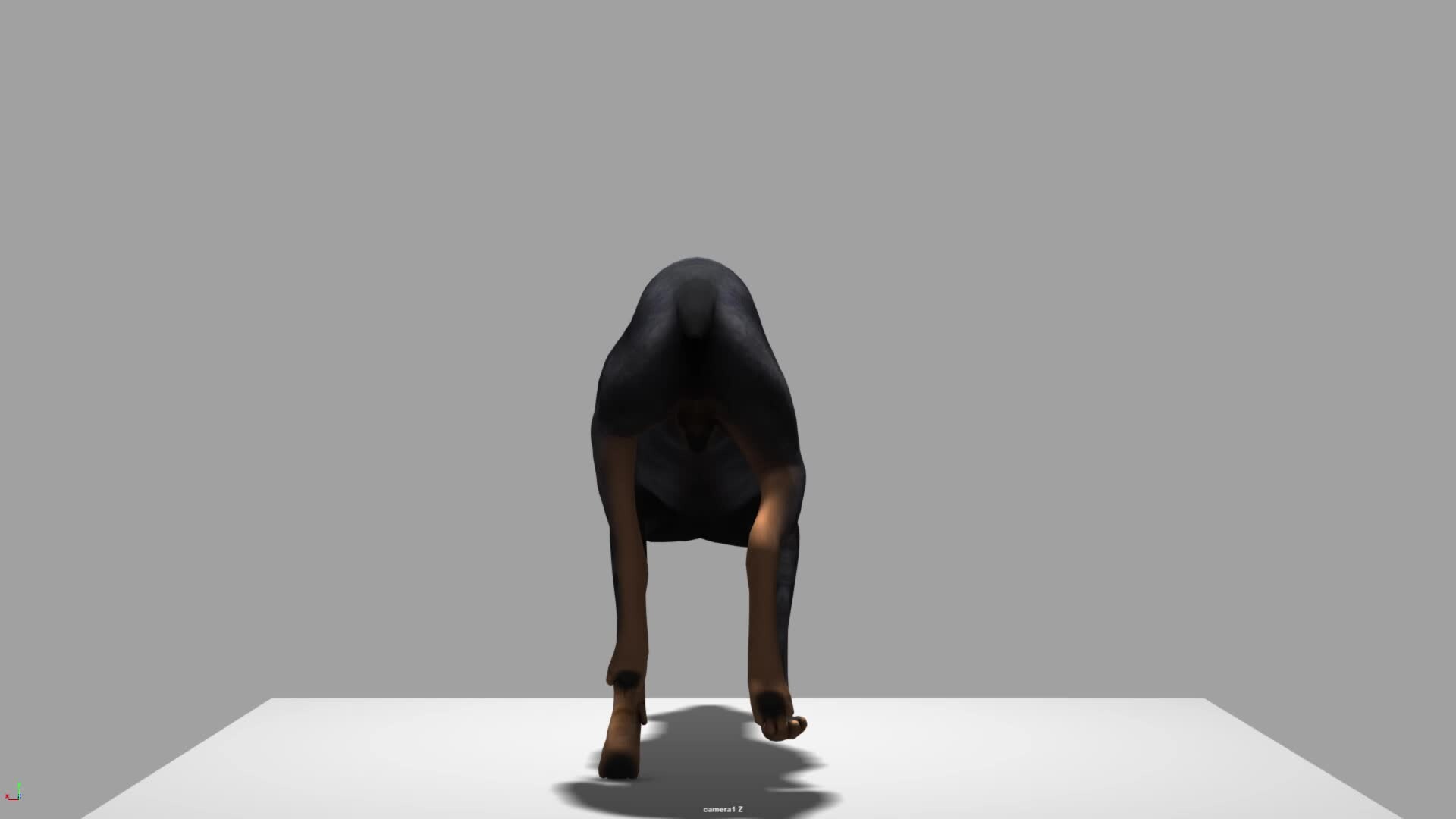 ArtStation - DOG RUN CYCLE