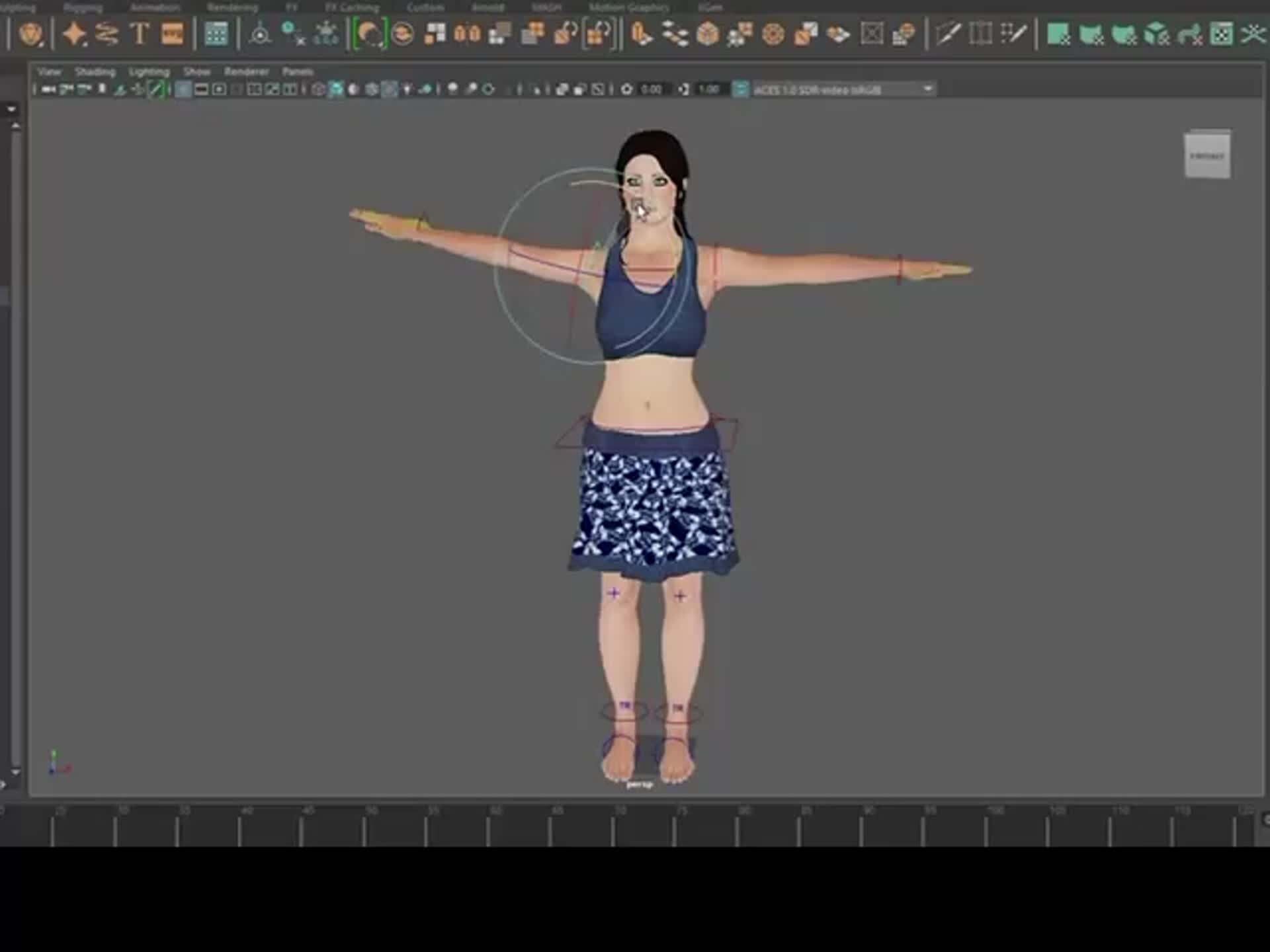 ArtStation - Character Rigging