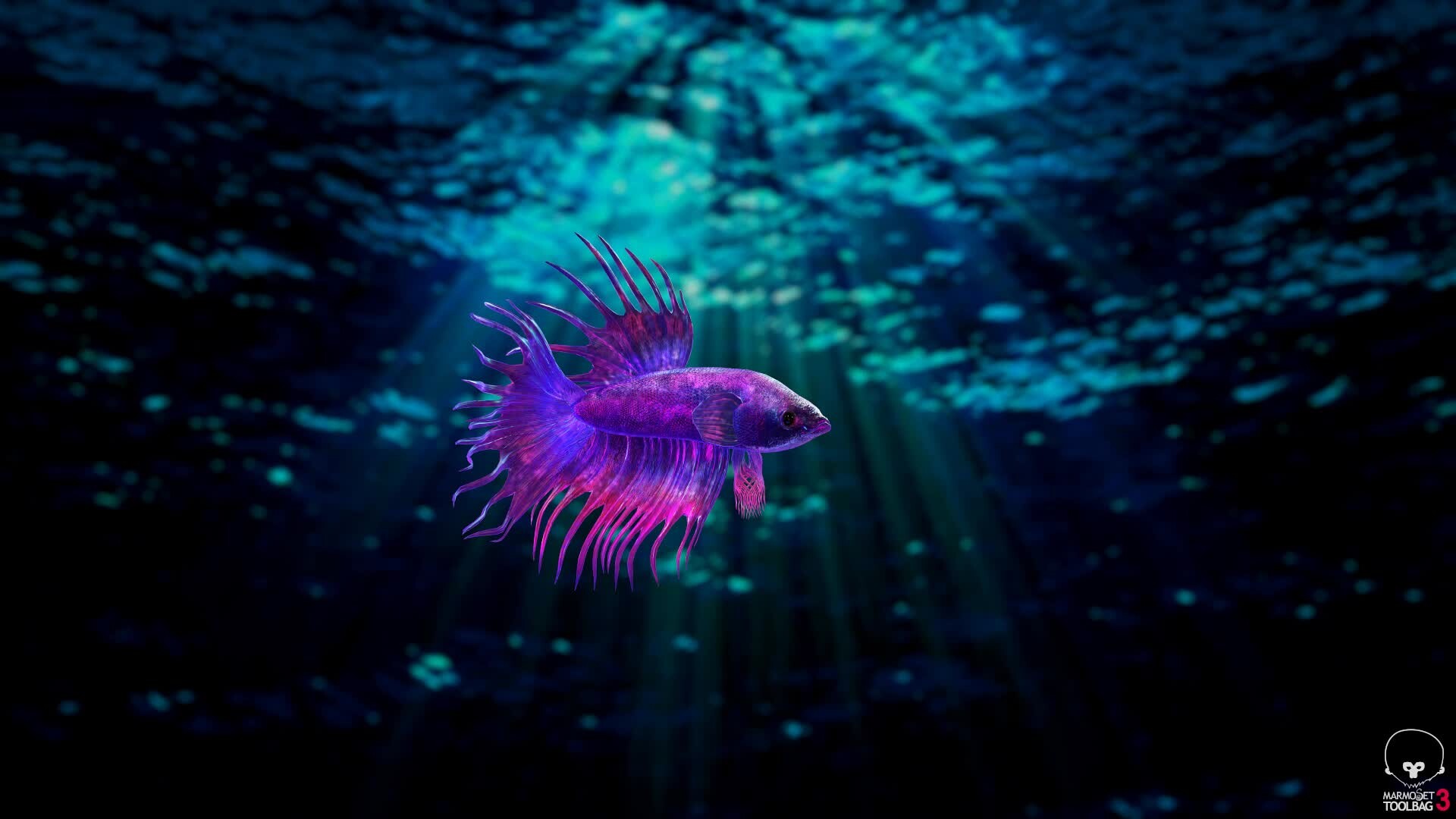 ArtStation - Betta Fish