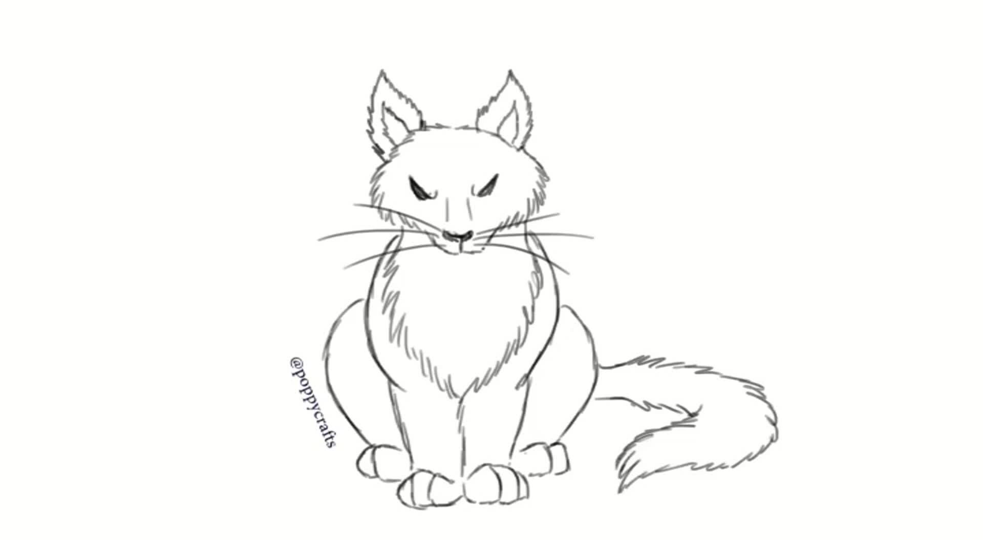 ArtStation - Cat tail flick animation