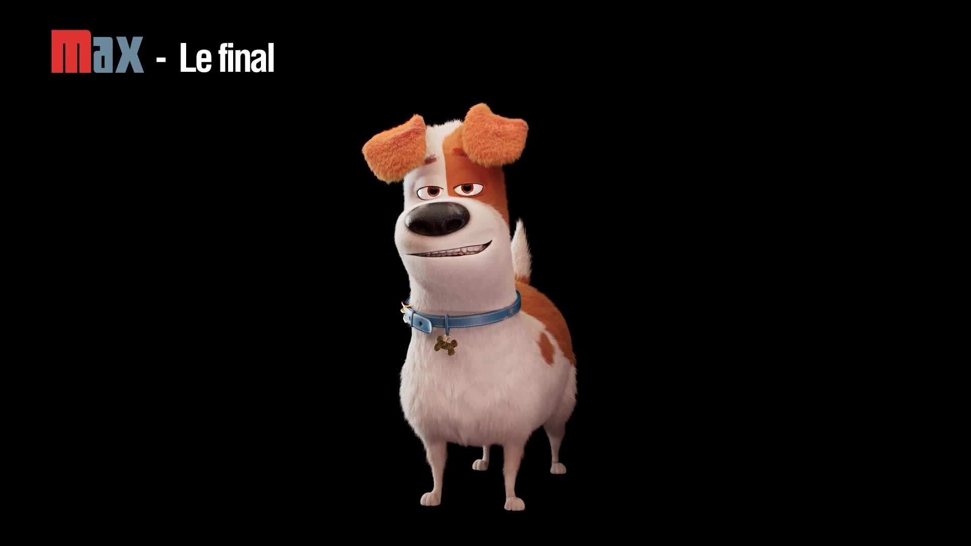 ArtStation - Sequence Reproduction "The Secret Life of Pets 2" (all ...