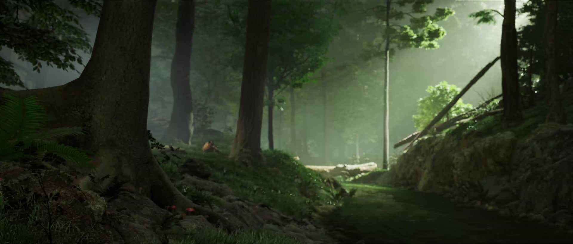 ArtStation - UE5 Forest Environment
