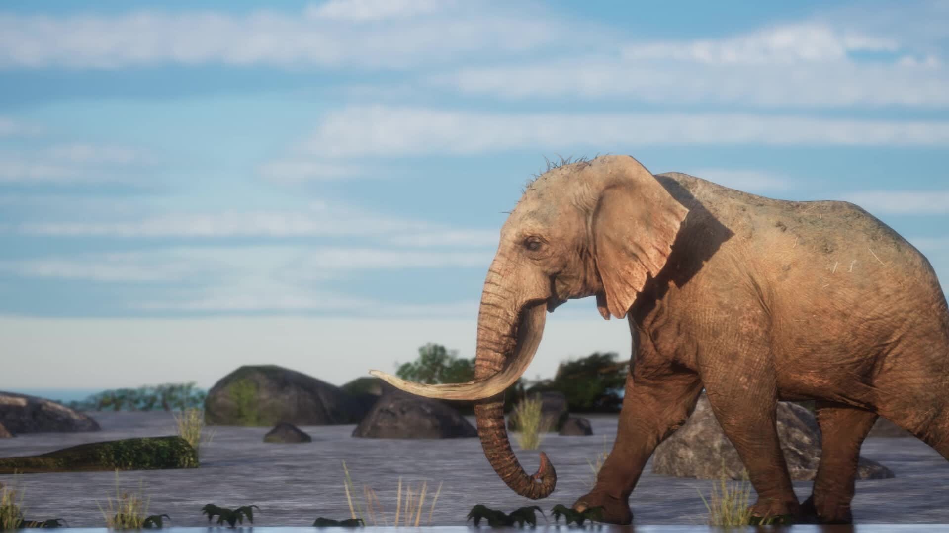 ArtStation - Elephant Walk