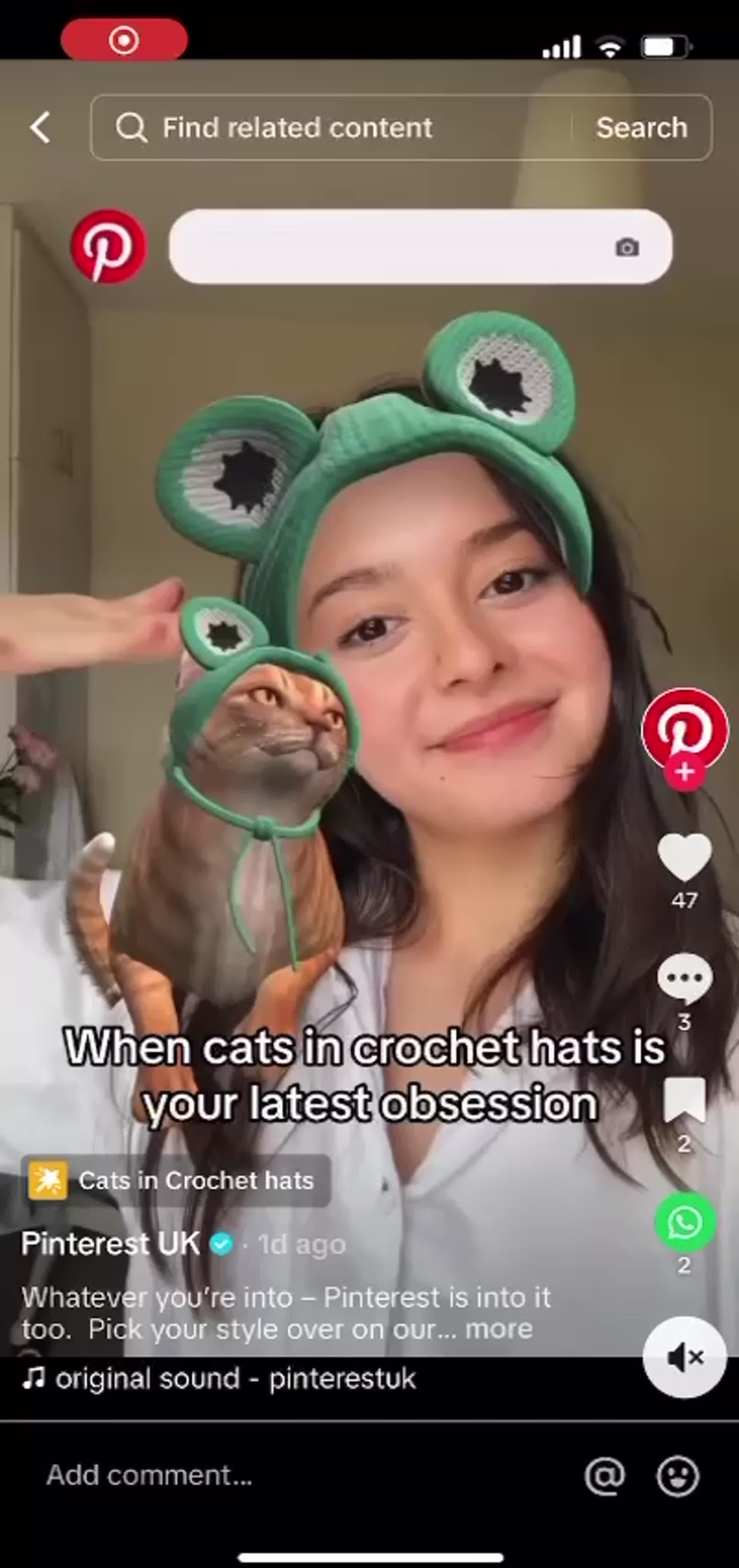 Fernando Camara - Cat Hats and Cat animation AR Filter